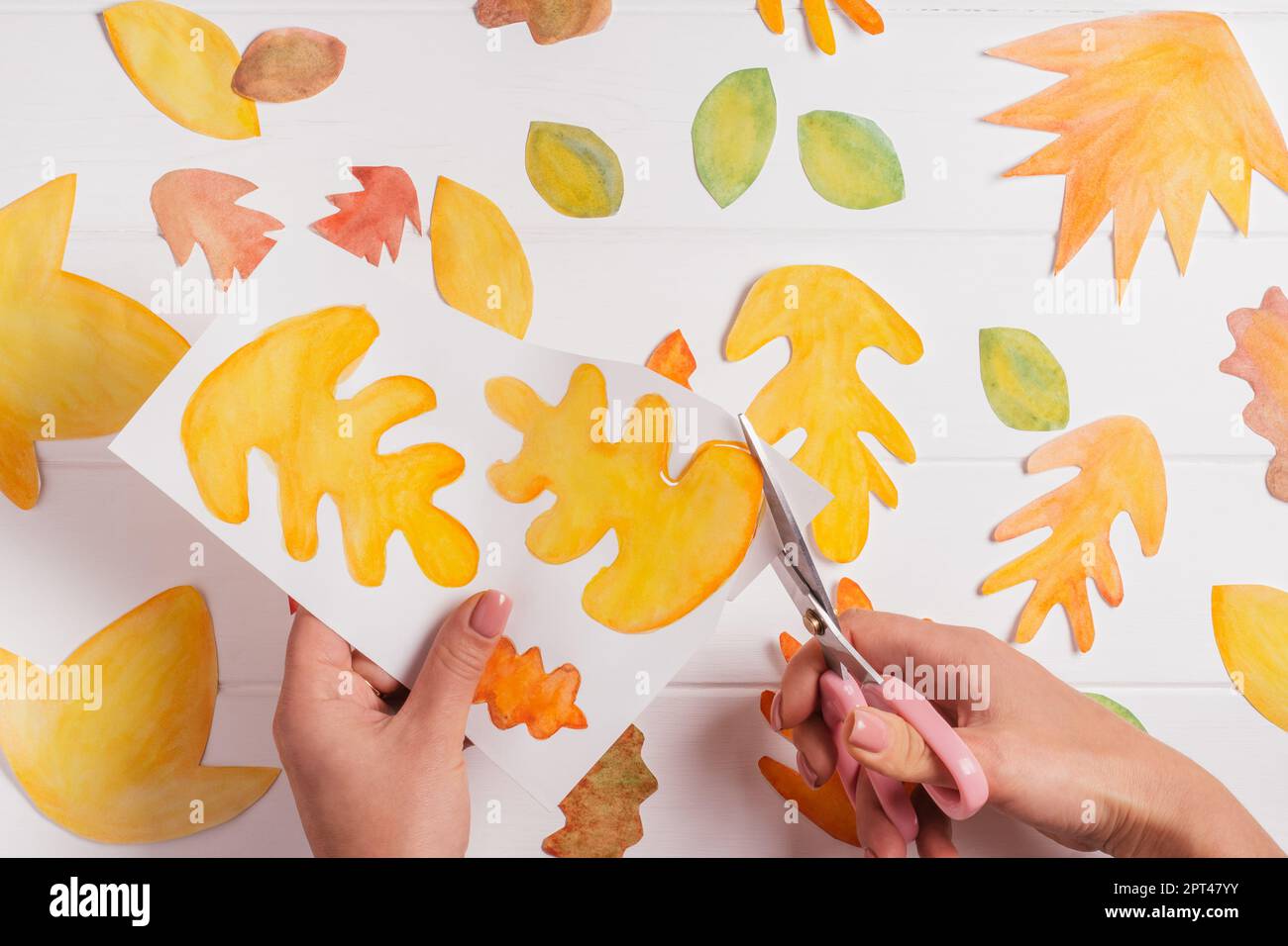 Scissors cutting different shapes hi-res stock photography and images ...