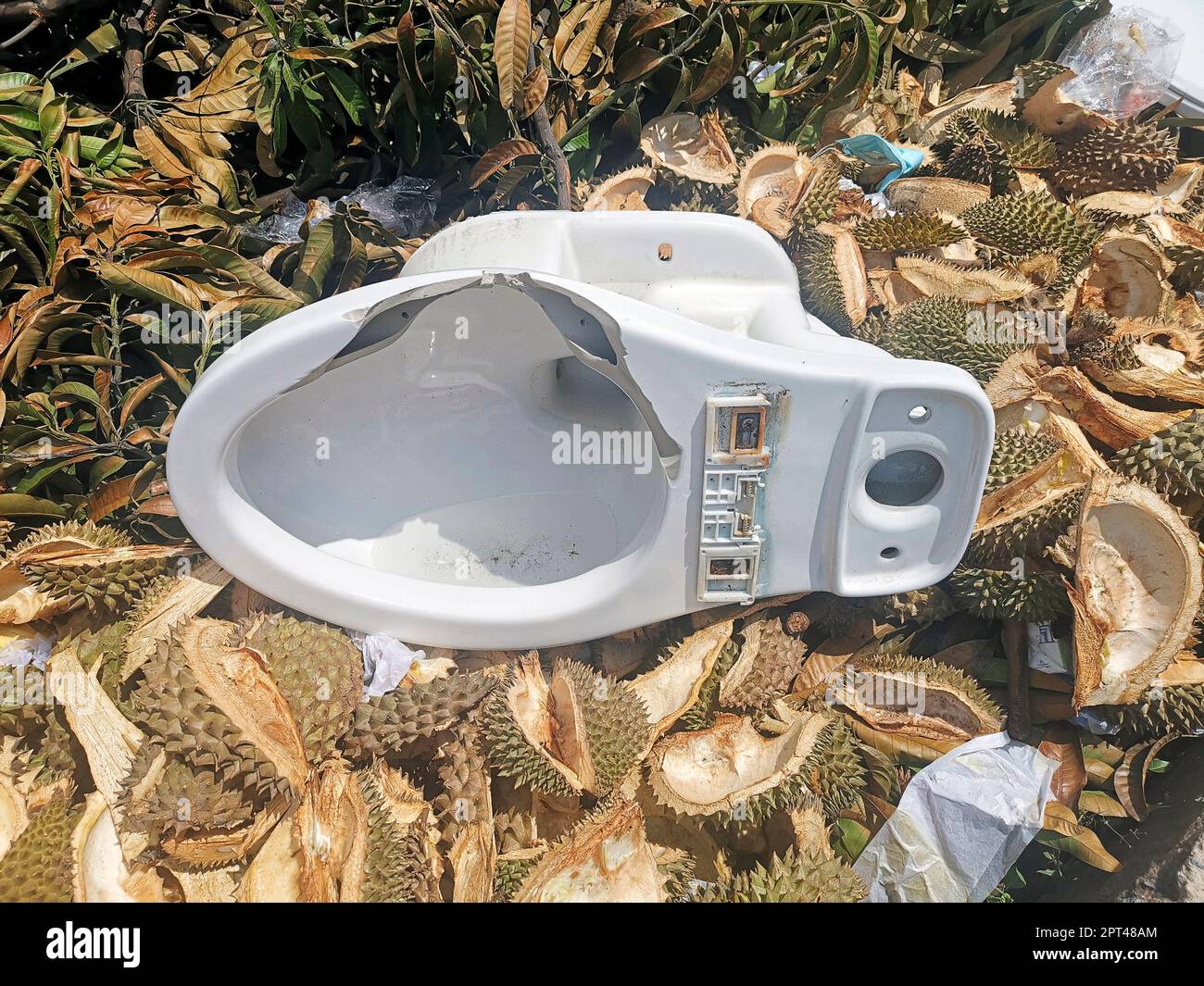 An old toilet that was abandoned at the dump Stock Photo - Alamy