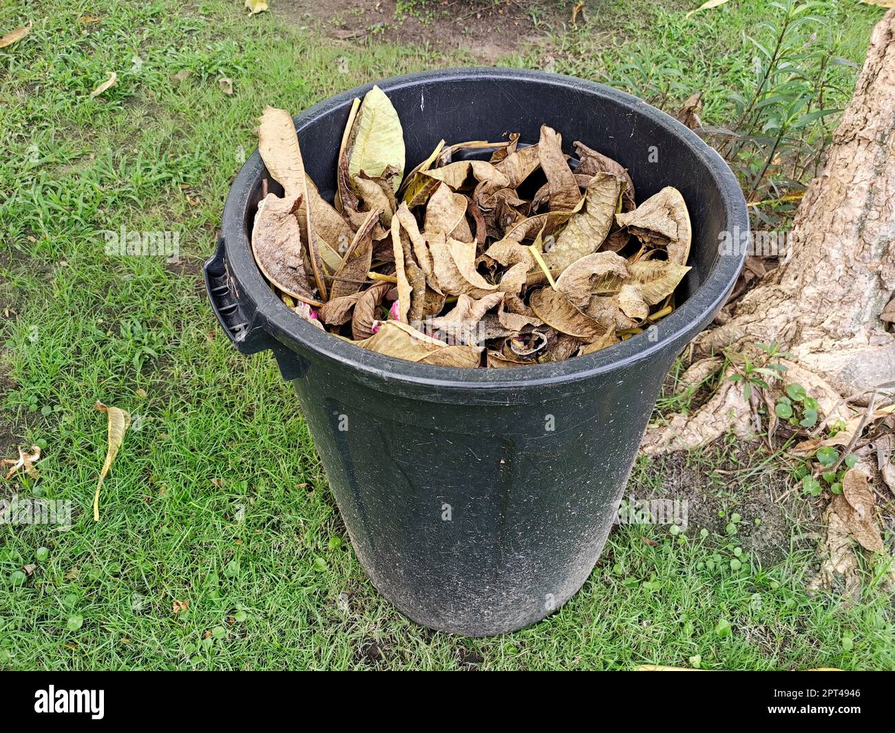 Leaves dustbin hi-res stock photography and images - Alamy