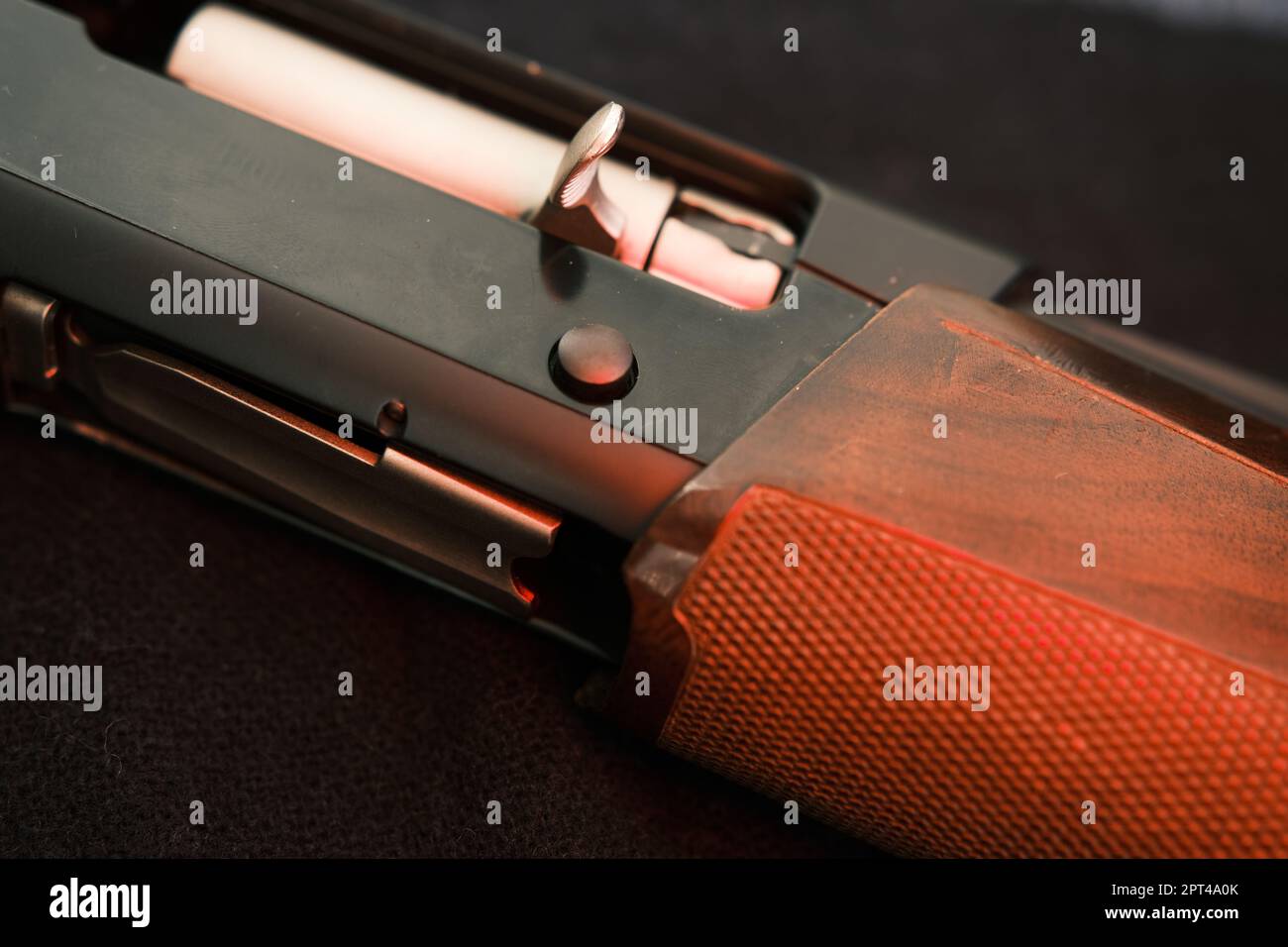 Closeup shotgun shutter. Hunting semi-automatic shotgun with wooden ...