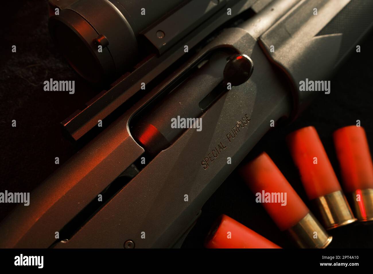 Closeup shotgun shutter. Hunting semi-automatic shotgun with wooden ...