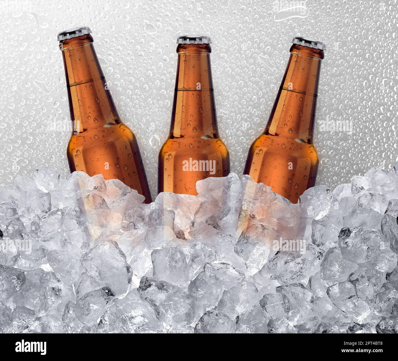 Three beer bottles getting cool in ice cubes. water drop background ...