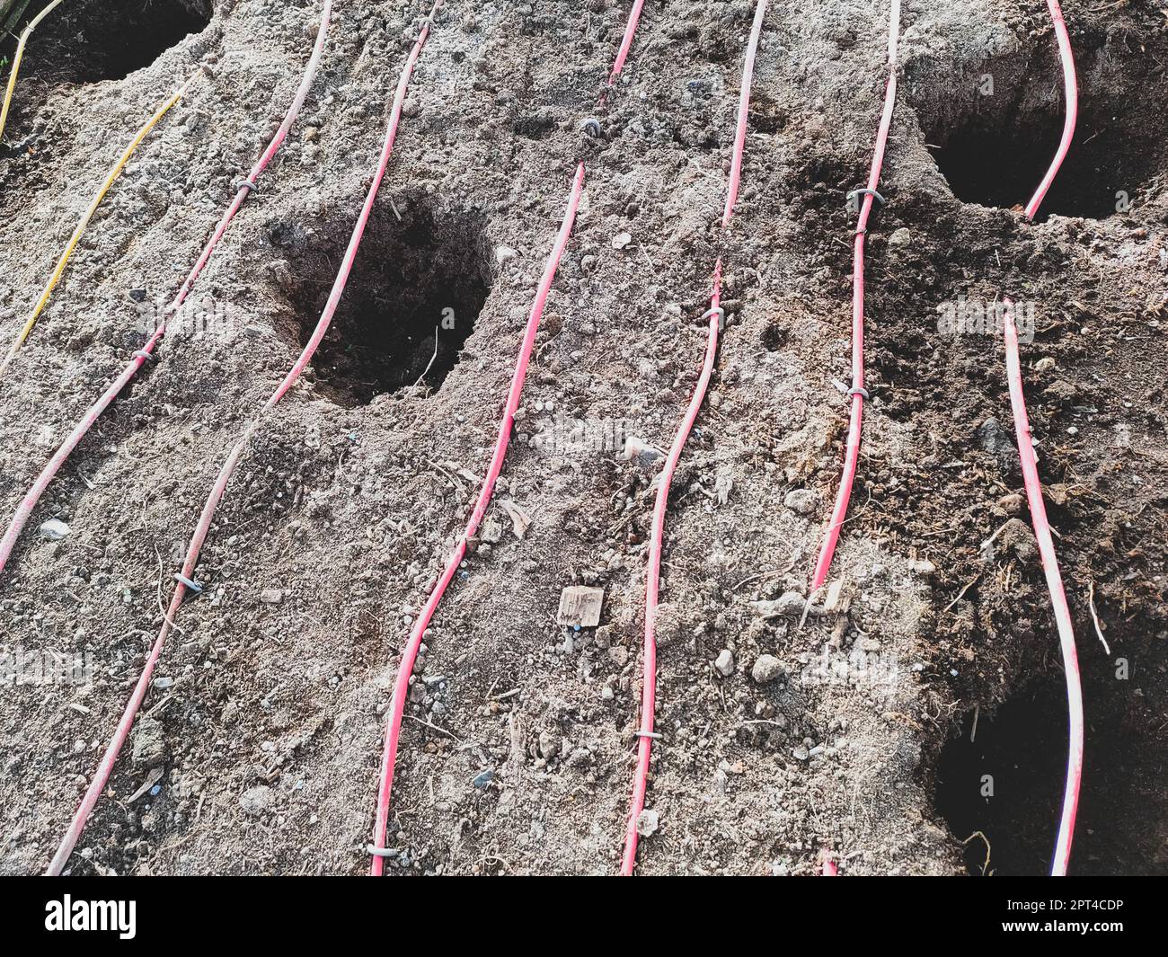 Holes in the soil for planting plants. gardening works Stock Photo - Alamy