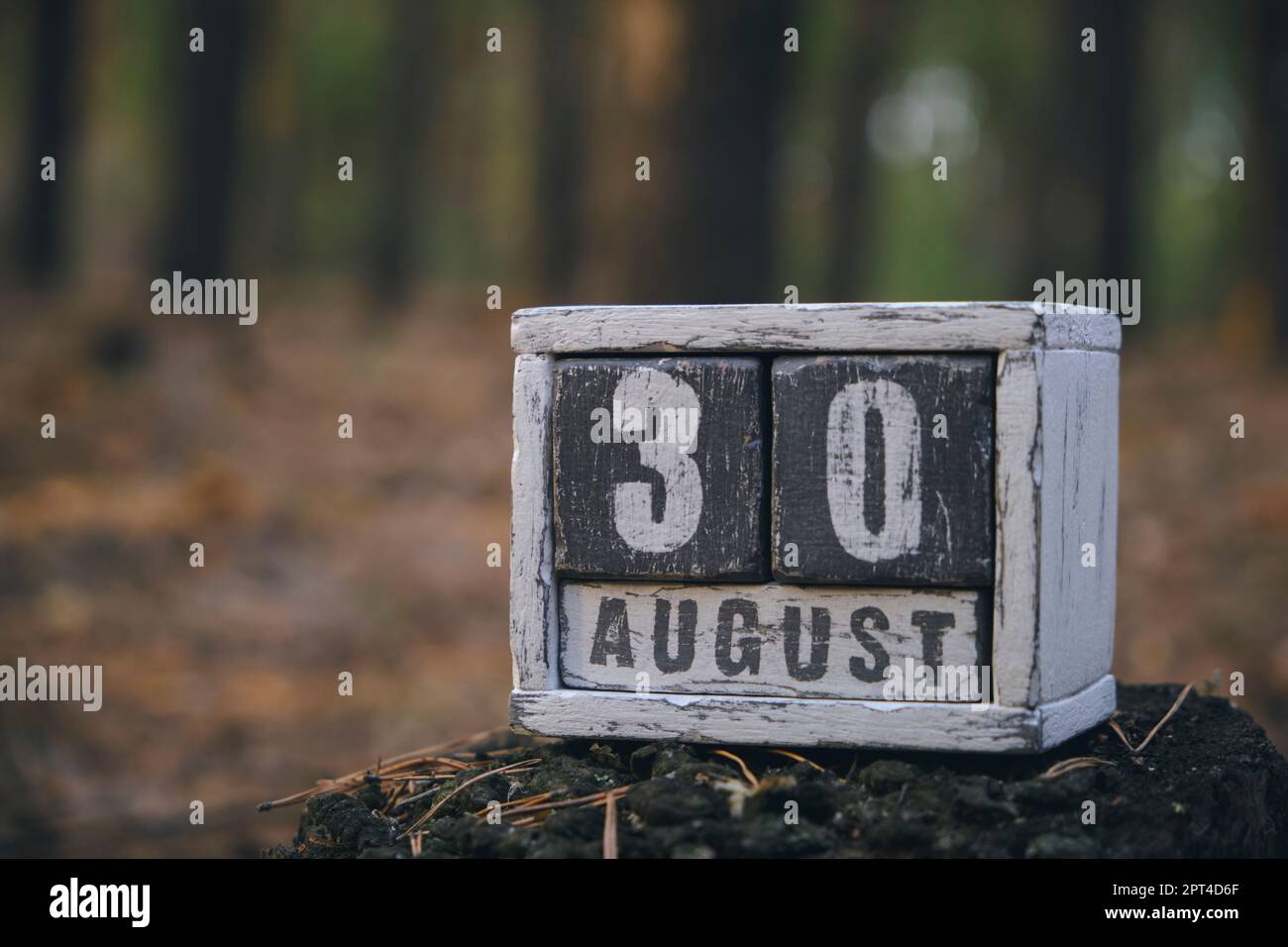 August 30 summer month, wooden calendar with date and month in forest ...
