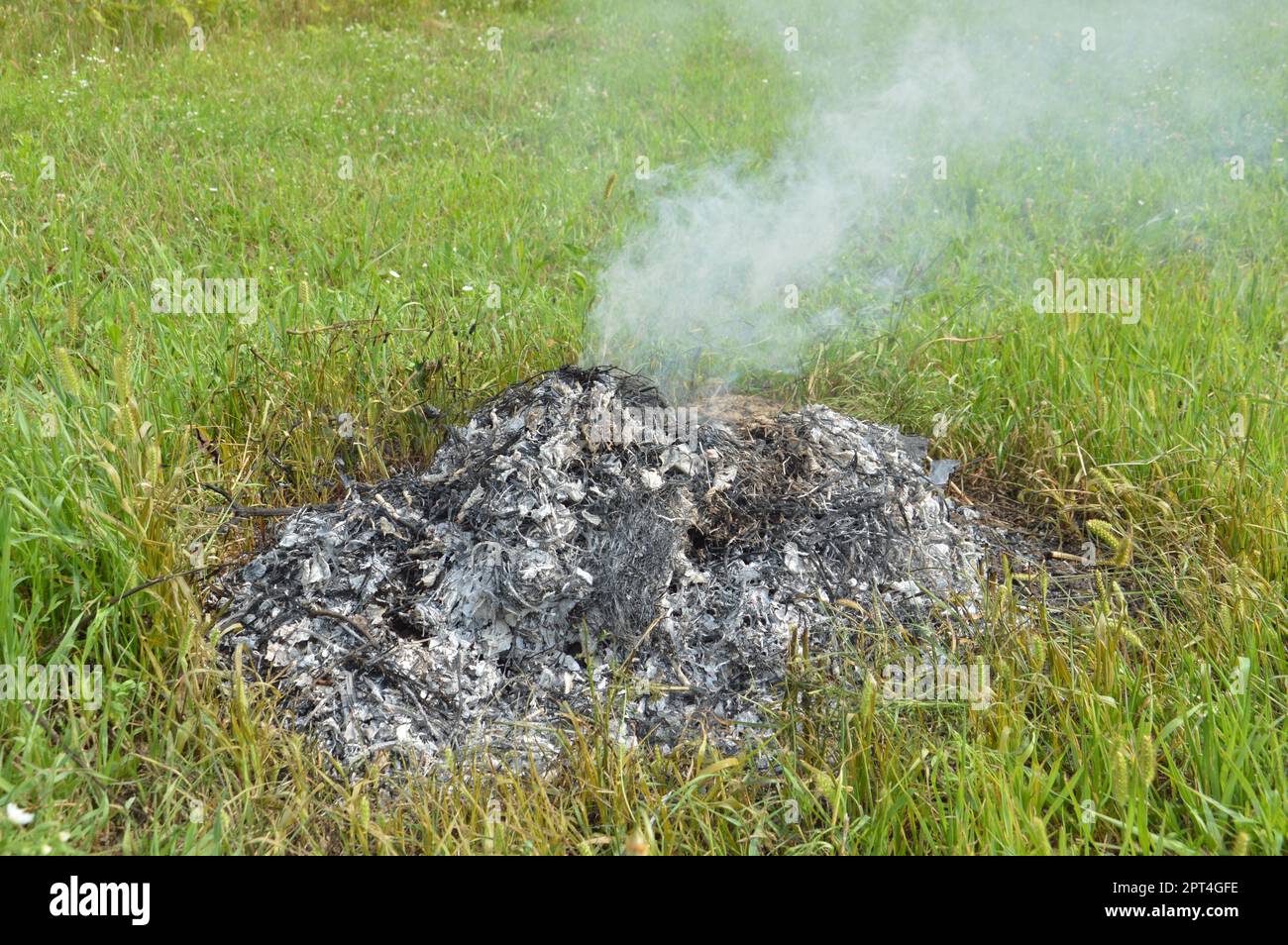 A bonfire with dry plants is burning on a land plot with fire and a ...