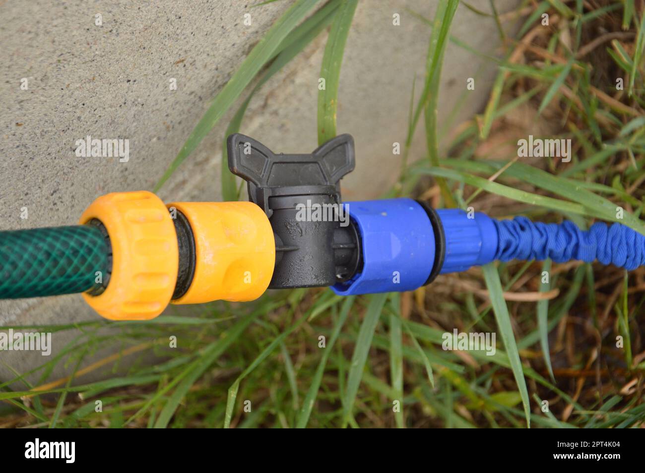 Garden plumbing for watering plants a details Stock Photo - Alamy