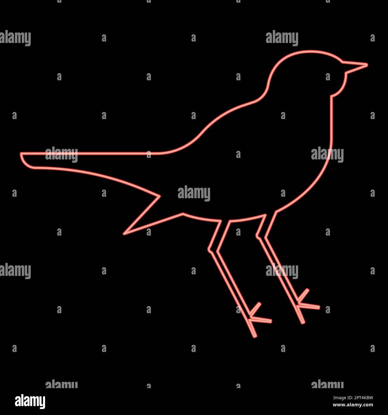 Neon nightingale Luscinia Bird silhouette icon black color vector ...