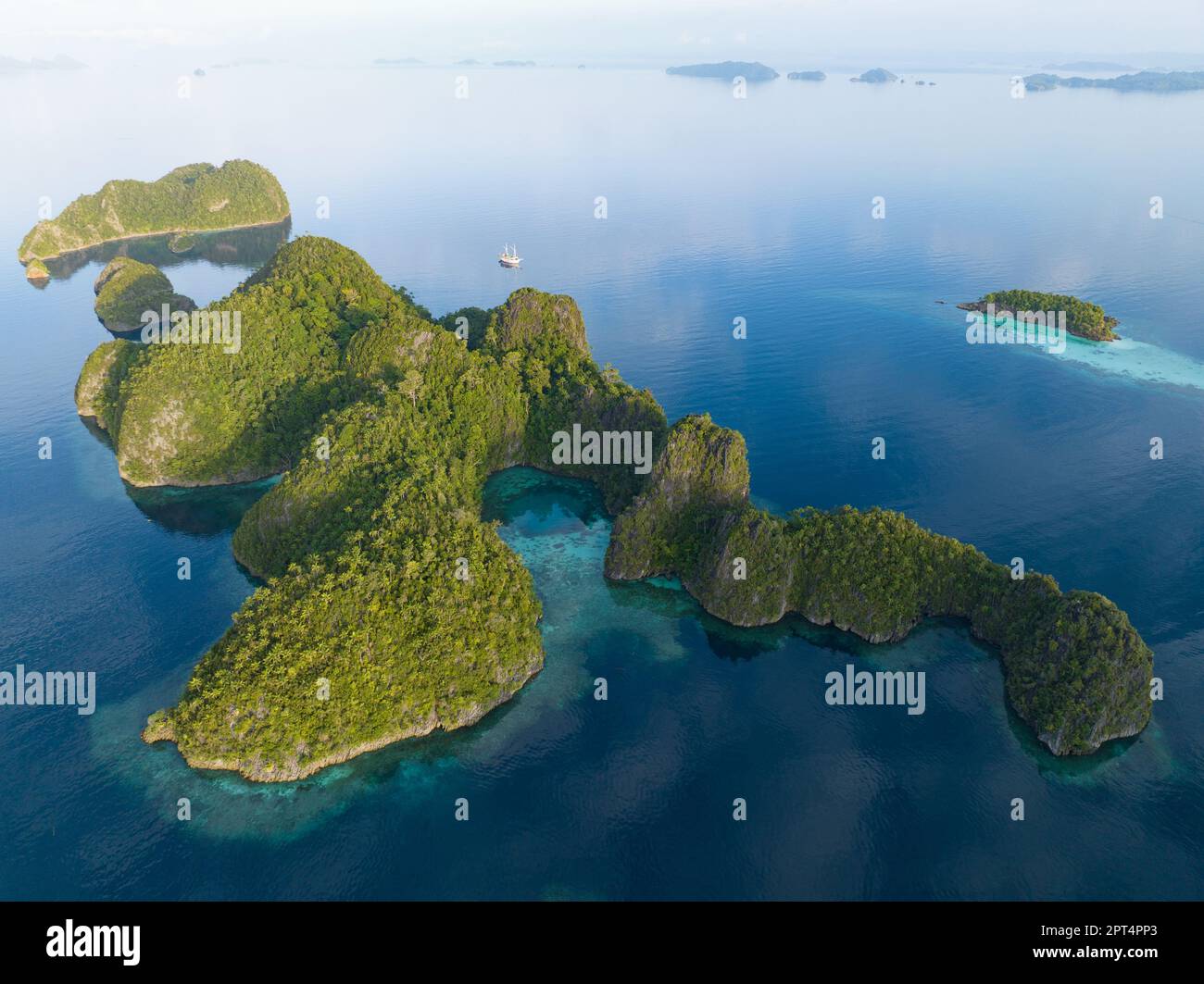 Uplifted Coral Reefs