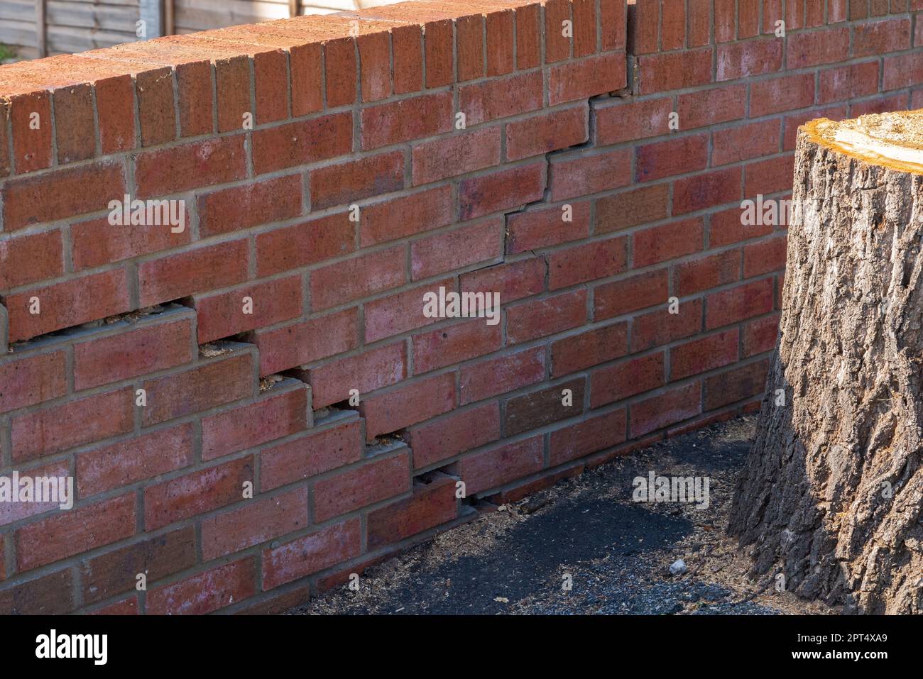 Subsidence, downward, vertical movement, Earth's surface, natural ...