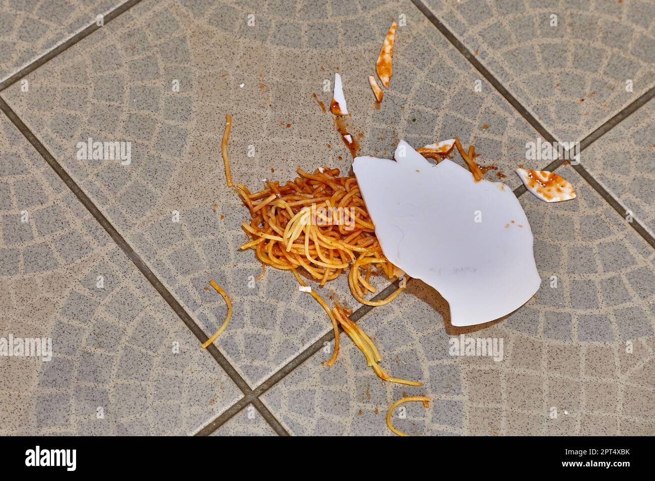 Plate of spaghetti dropped on the kitchen floor and breaking Stock ...