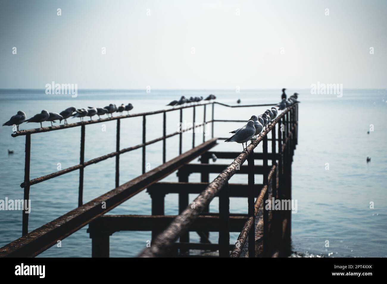 Depressing ocean hi-res stock photography and images - Alamy