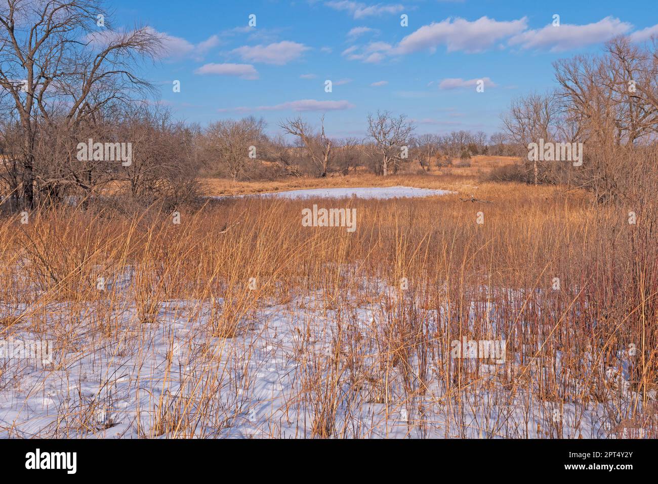 Grasslands and Wetlands in the Winter in Volo Bog State Natural Area in ...