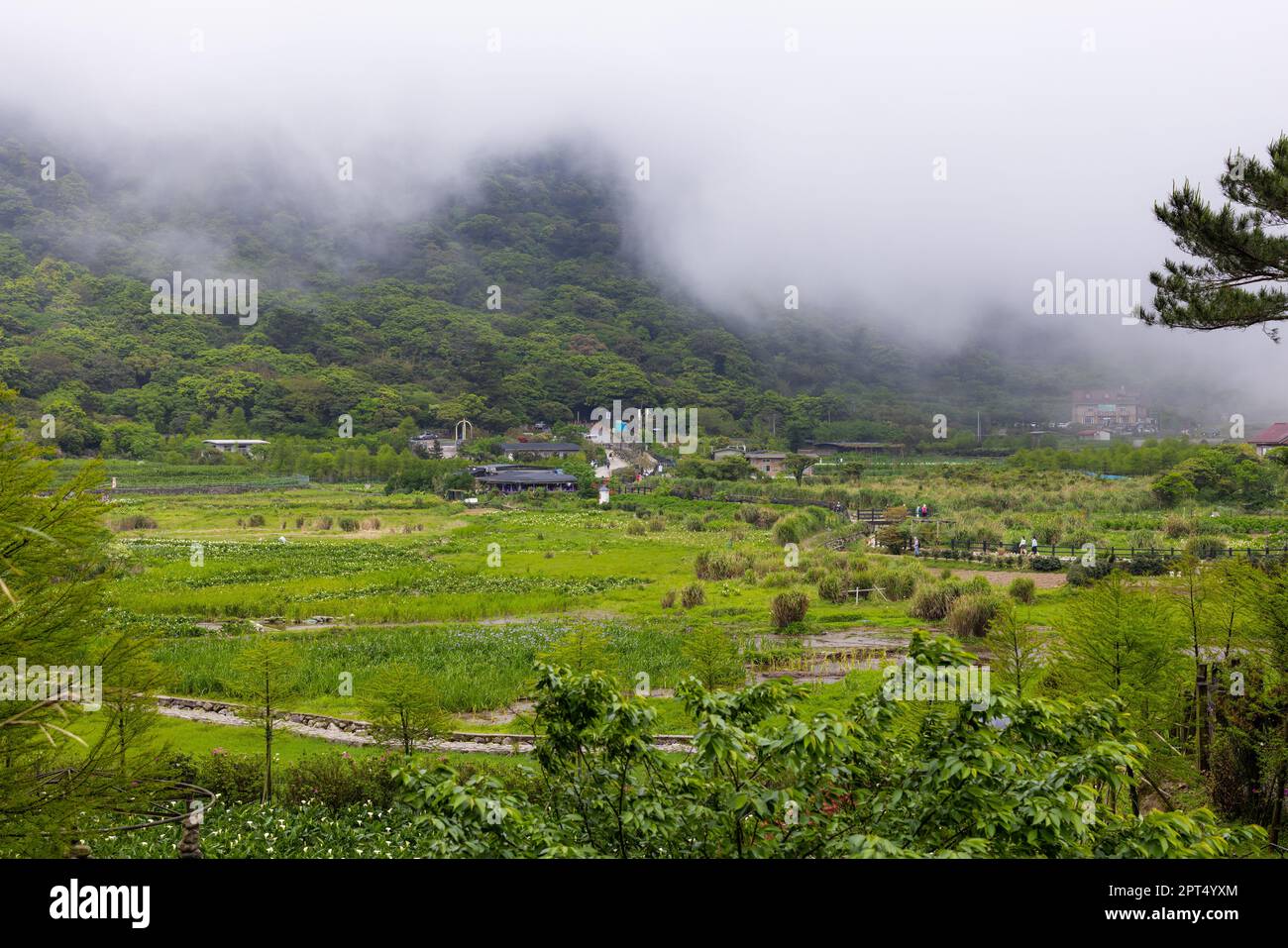 Yangmingshan National Park in Taiwan Stock Photo - Alamy