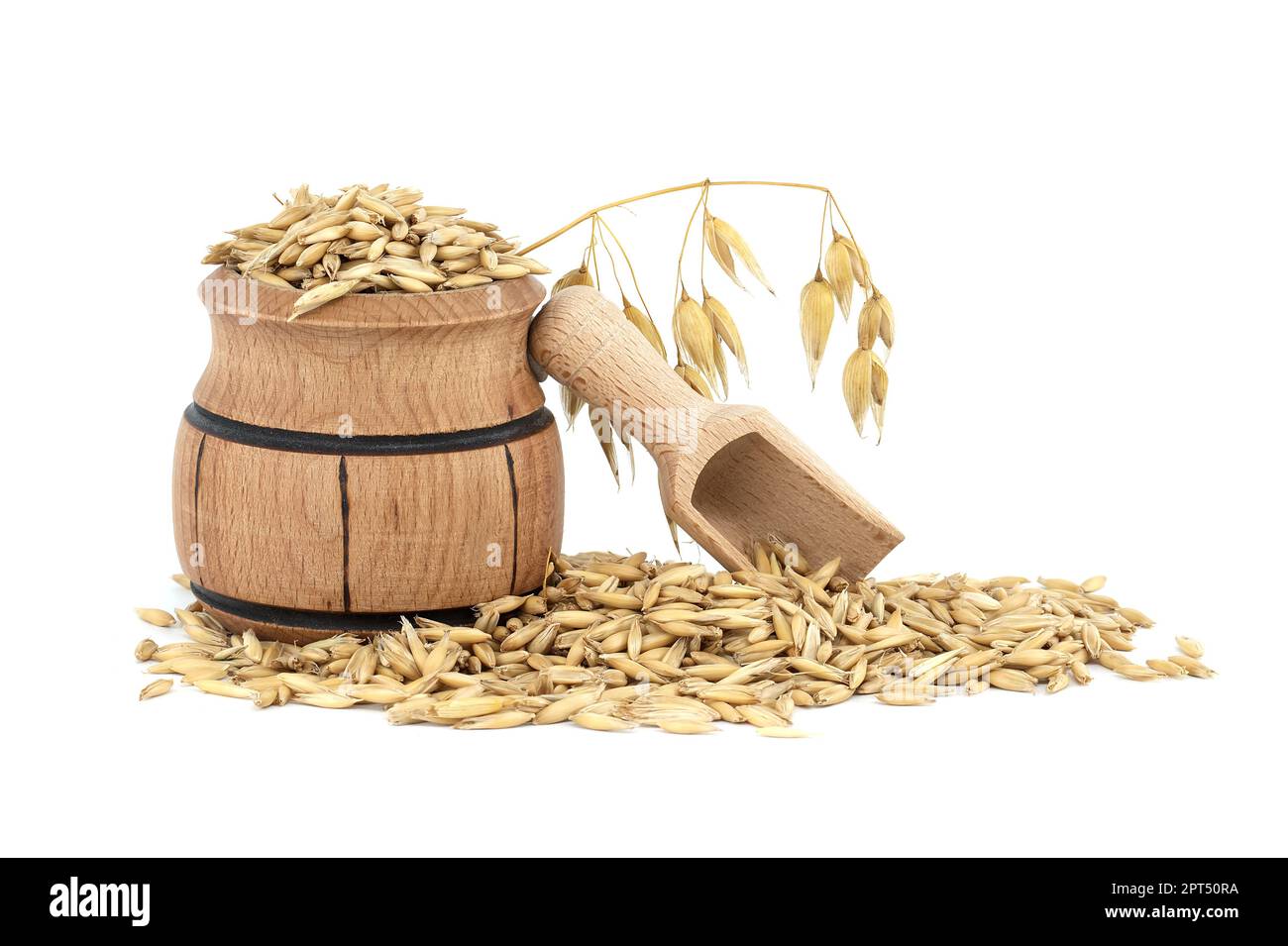 Heap of organic oat grains with hulls or husks in small wooden barrel ...