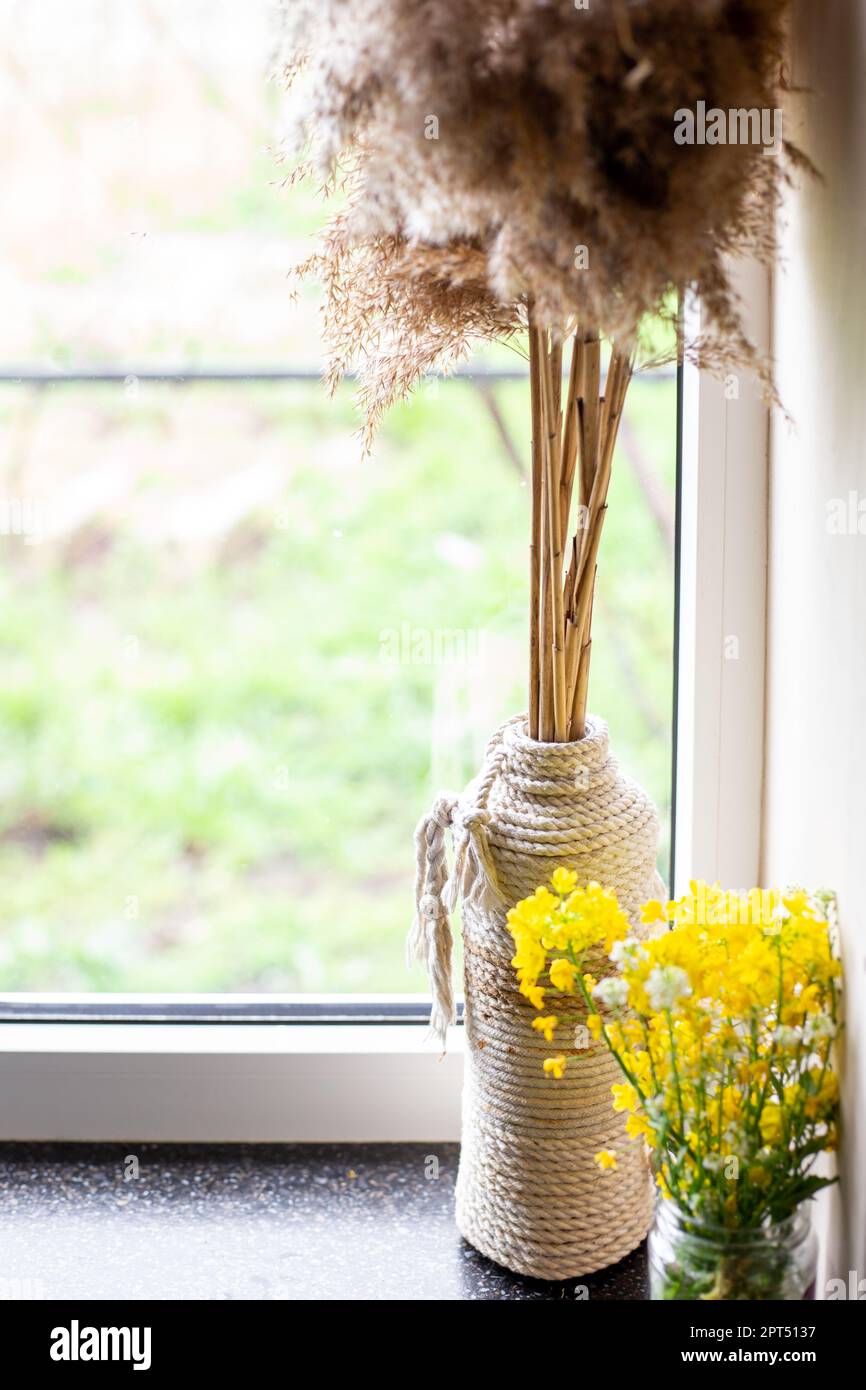 dry marsh grass in a decorative vase and yellow rapeseed next to it on ...