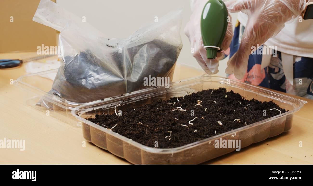 Plastic recycle gardening watering hi-res stock photography and images ...