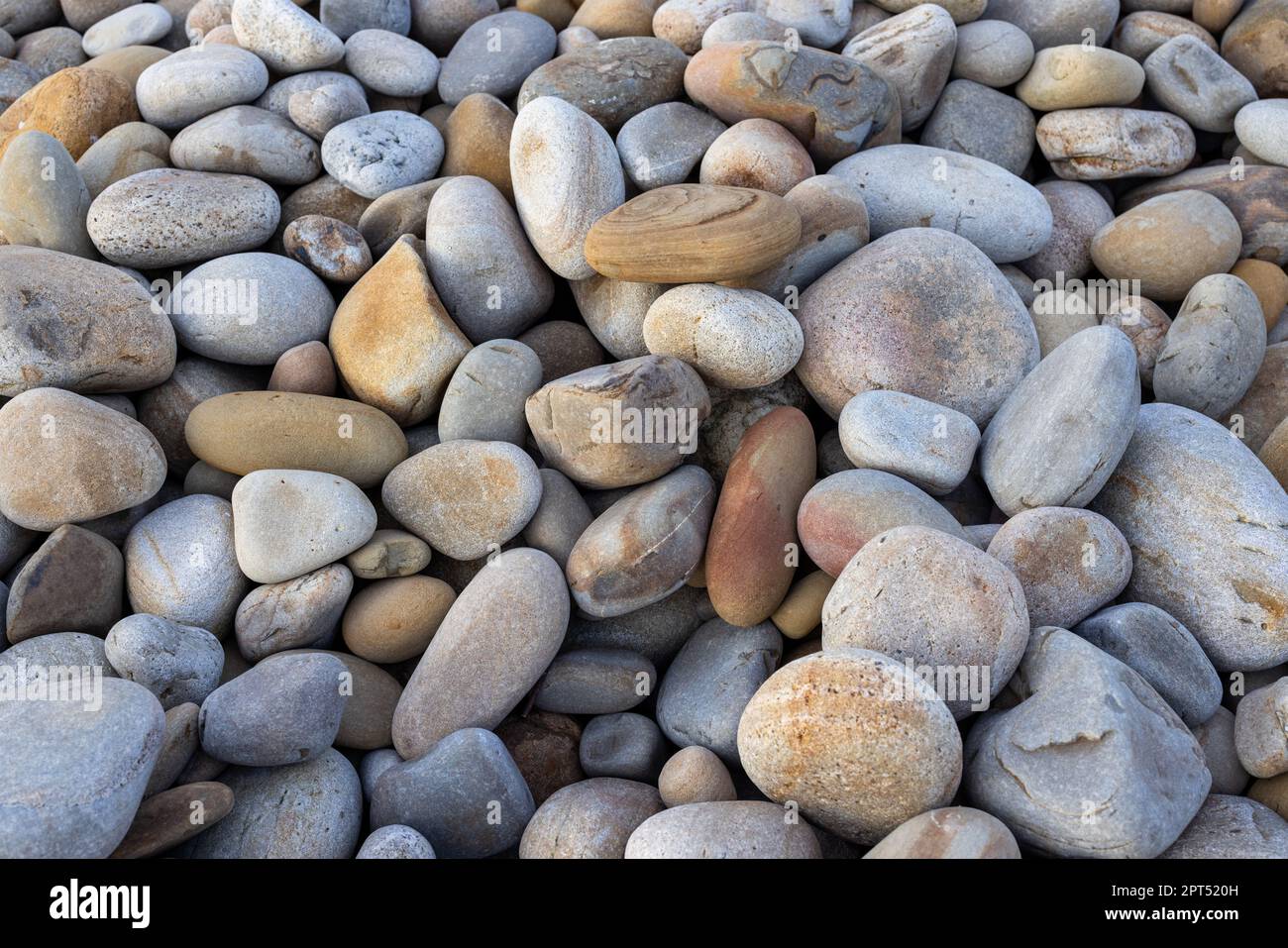 Pebble stone over the seaside Stock Photo - Alamy