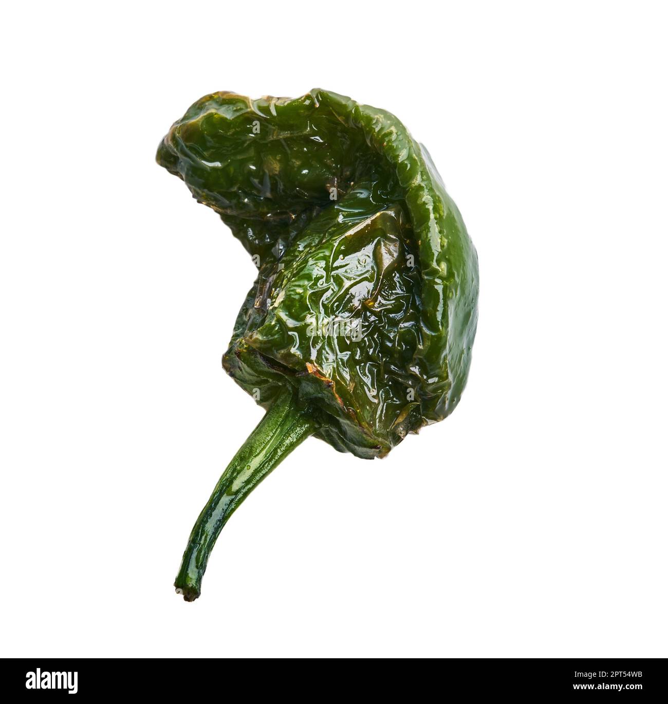 Delicious single green pepper over isolated white background Stock ...