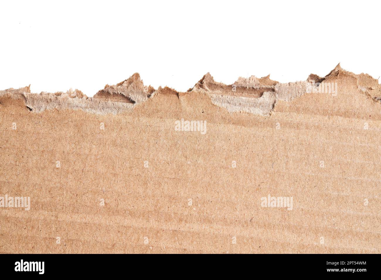 One ripped piece of cardboard material over isolated white background ...