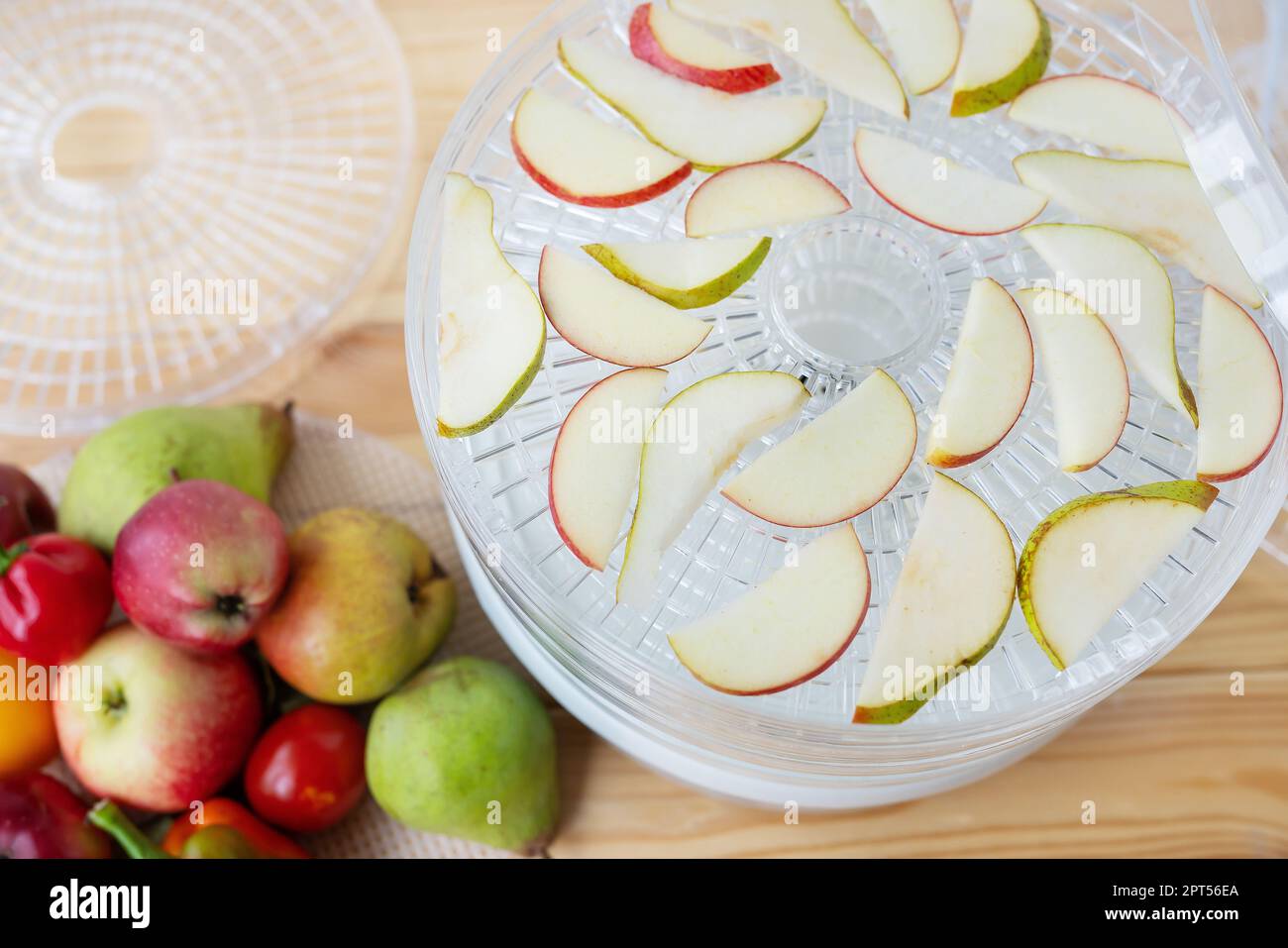 Electric drying machine for dehydrating products with horizontal ...