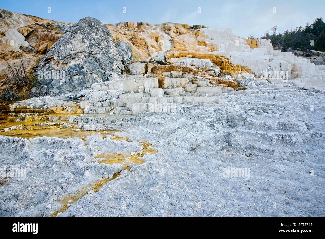 Palette Spring at Mammoth Hot Springs in Yellowstone National Park ...