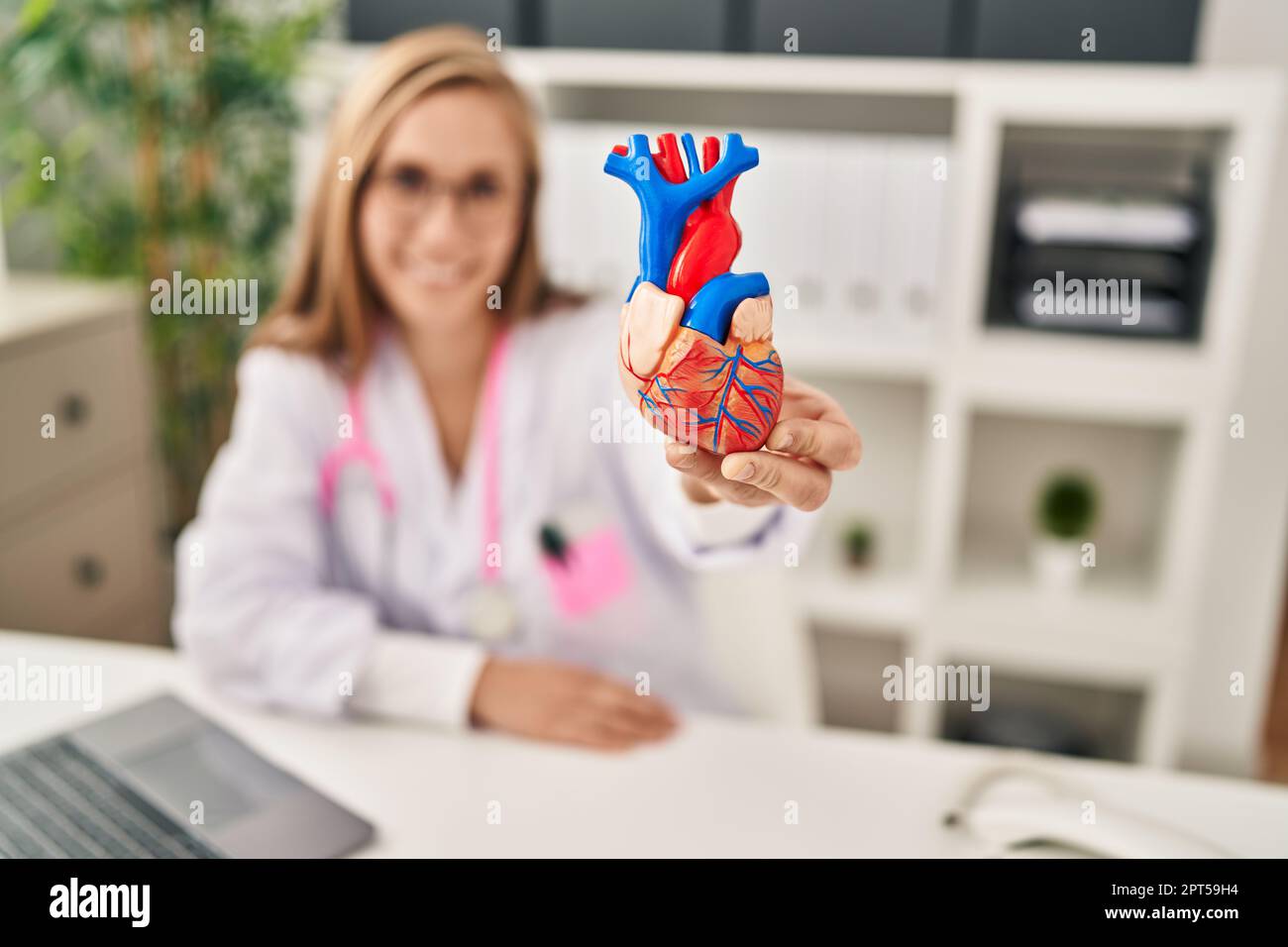 Young blonde woman cardiologist holding anatomical model of heart at ...