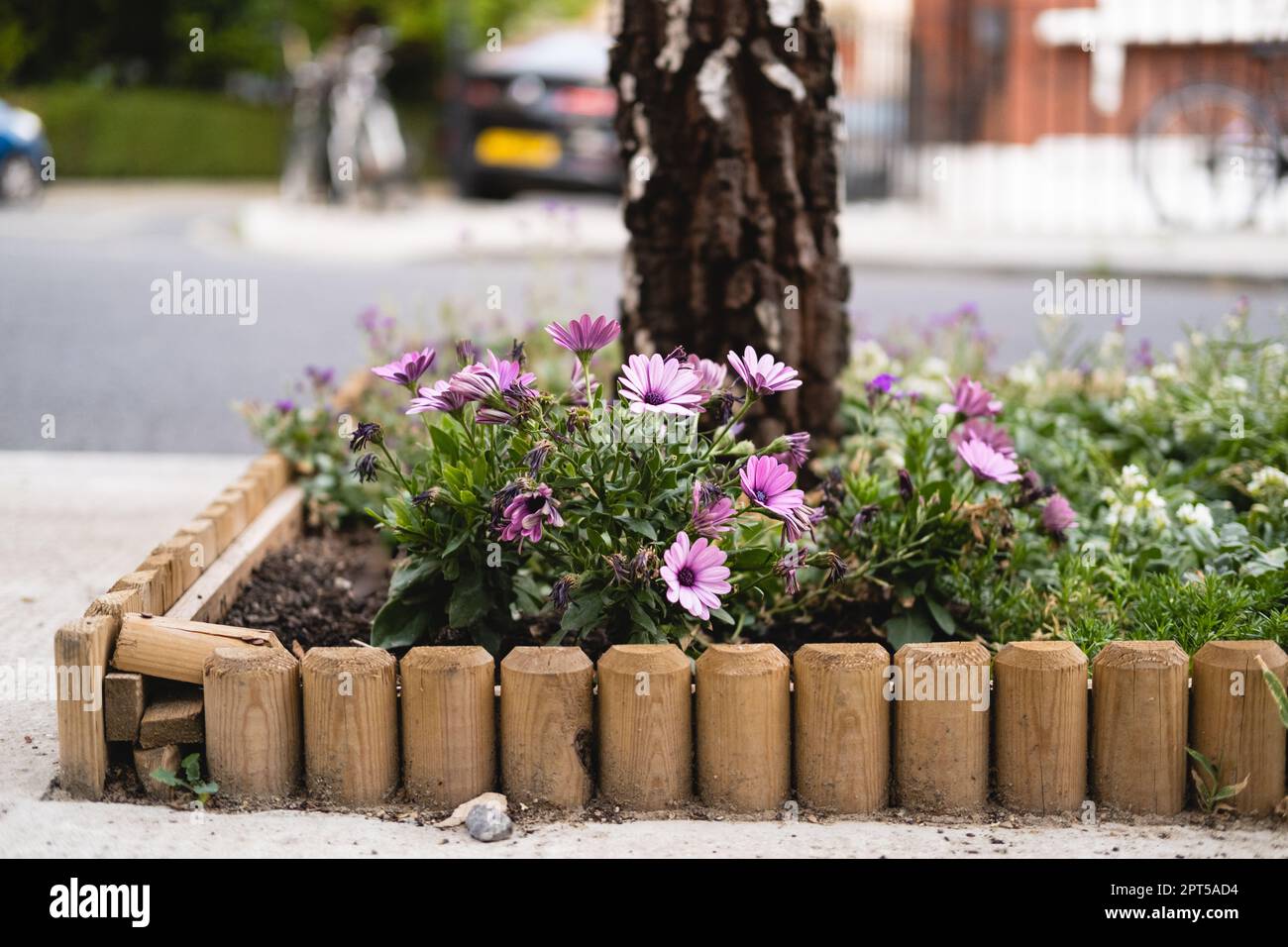 Flower planter hi-res stock photography and images - Alamy