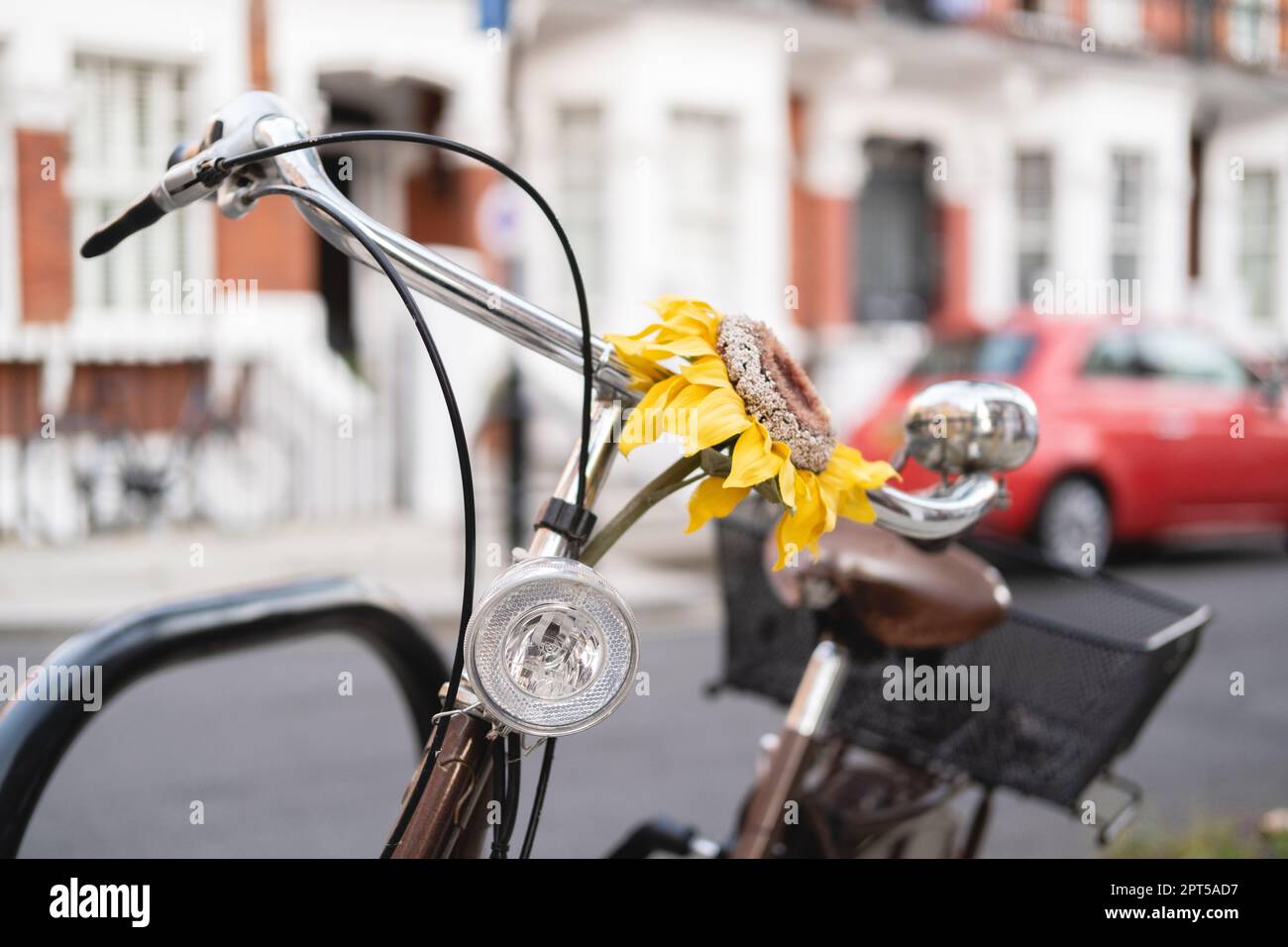 Horizontal close-up of a bicycle handlebars with a yellow sunflower ...