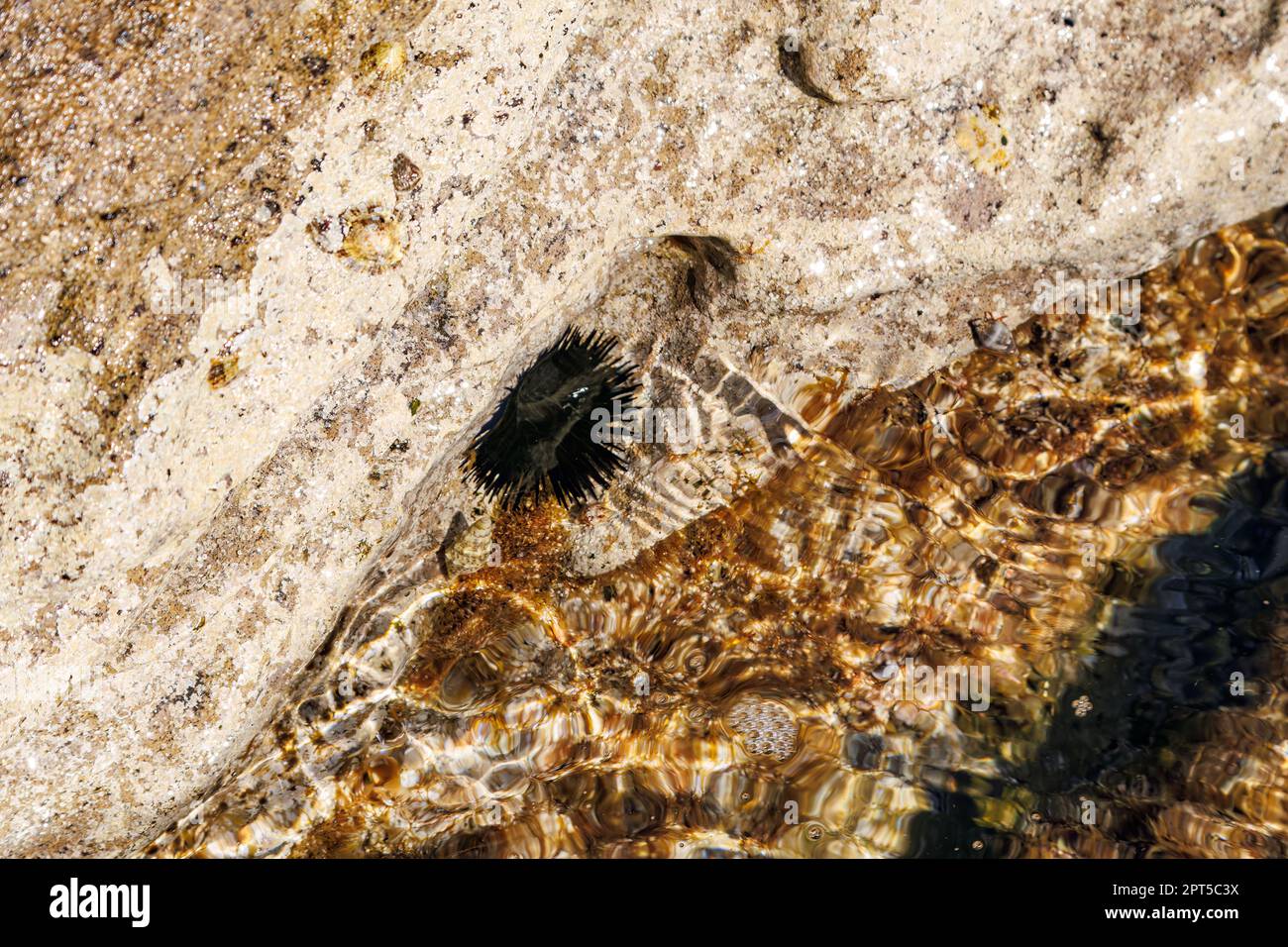 unusual rock formations of the volcanic cliff on Cala Sapone beach ...