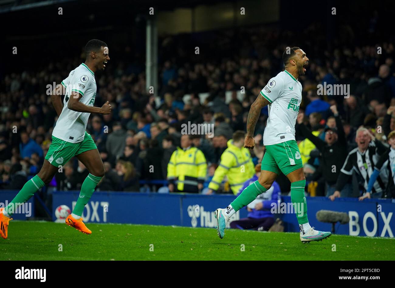 Newcastle United's Callum Wilson (right) celebrates scoring their side ...