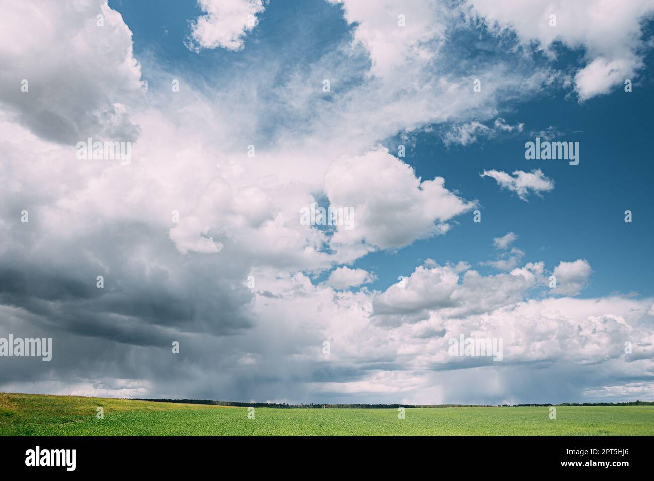 Countryside Rural Wheat Field Meadow Landscape In Summer Rainy Day ...