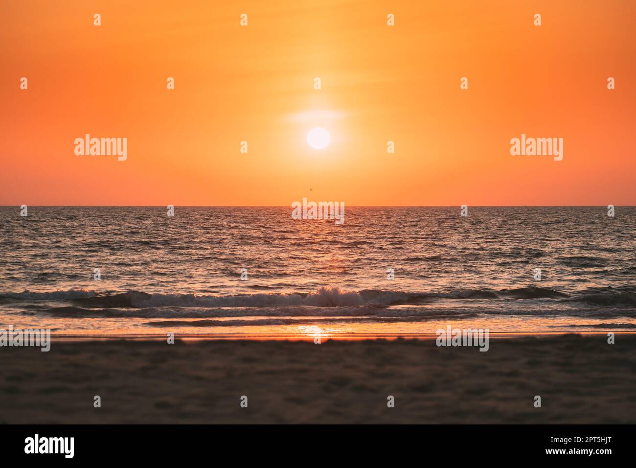 Natural Color Sunset Sunrise Sky Over Sea. Seascape With Shining ...