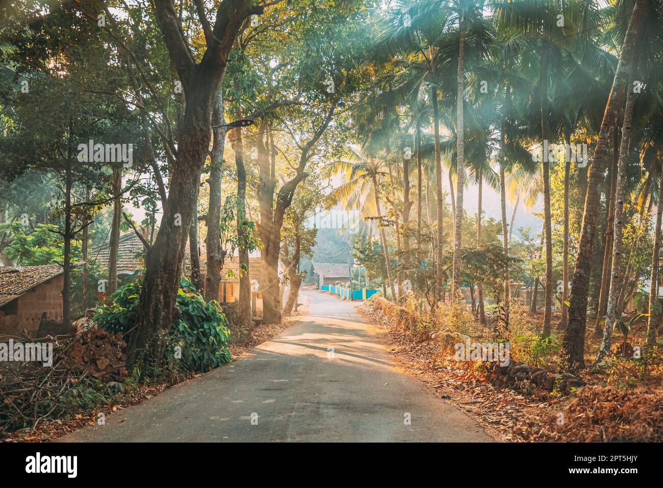 Goa, India. Country Road Through An Indian Village. Morning Dawn Haze ...