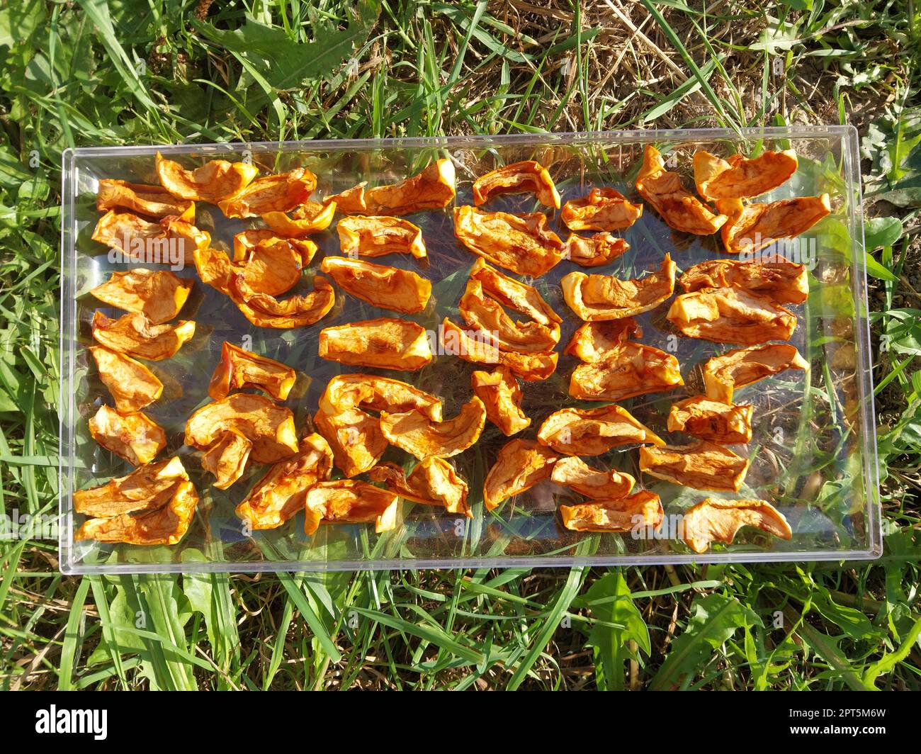Drying dried fruits in summer for the harvesting compotes Stock Photo ...