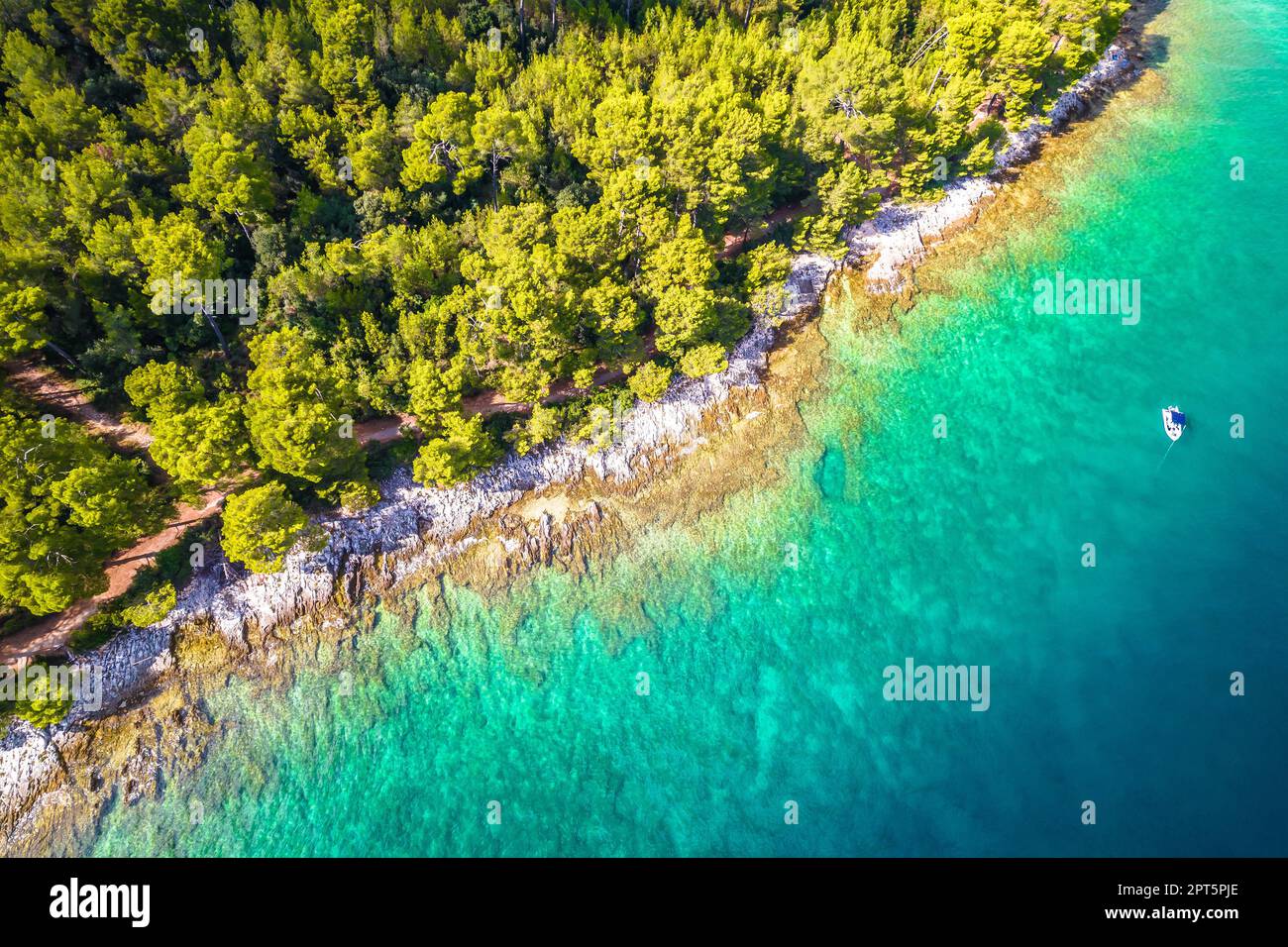 Turquoise stone beach in Rovinj aerial view, pine trees archipelago ...