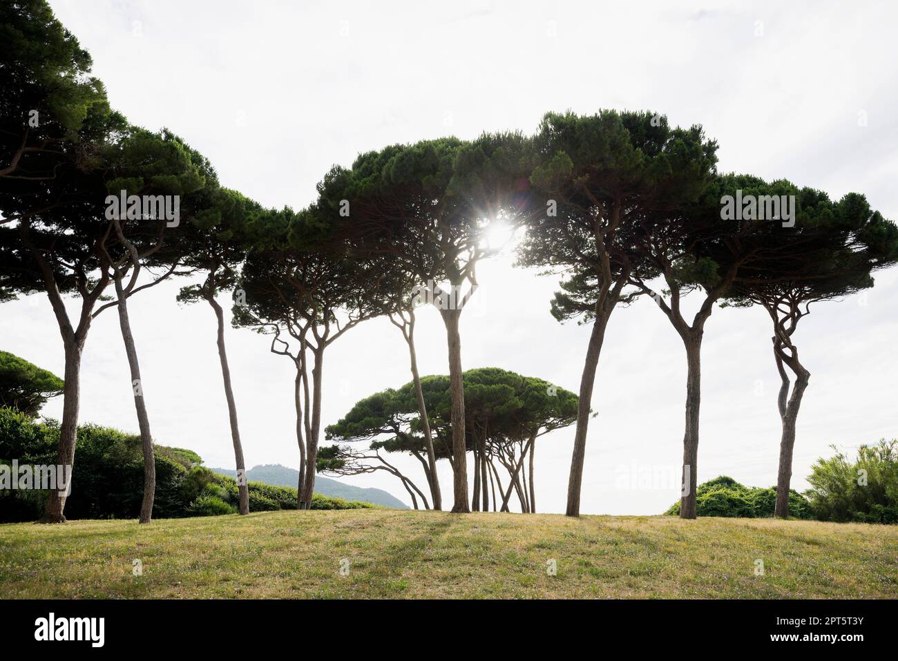 Spiaggia di baratti hi-res stock photography and images - Alamy
