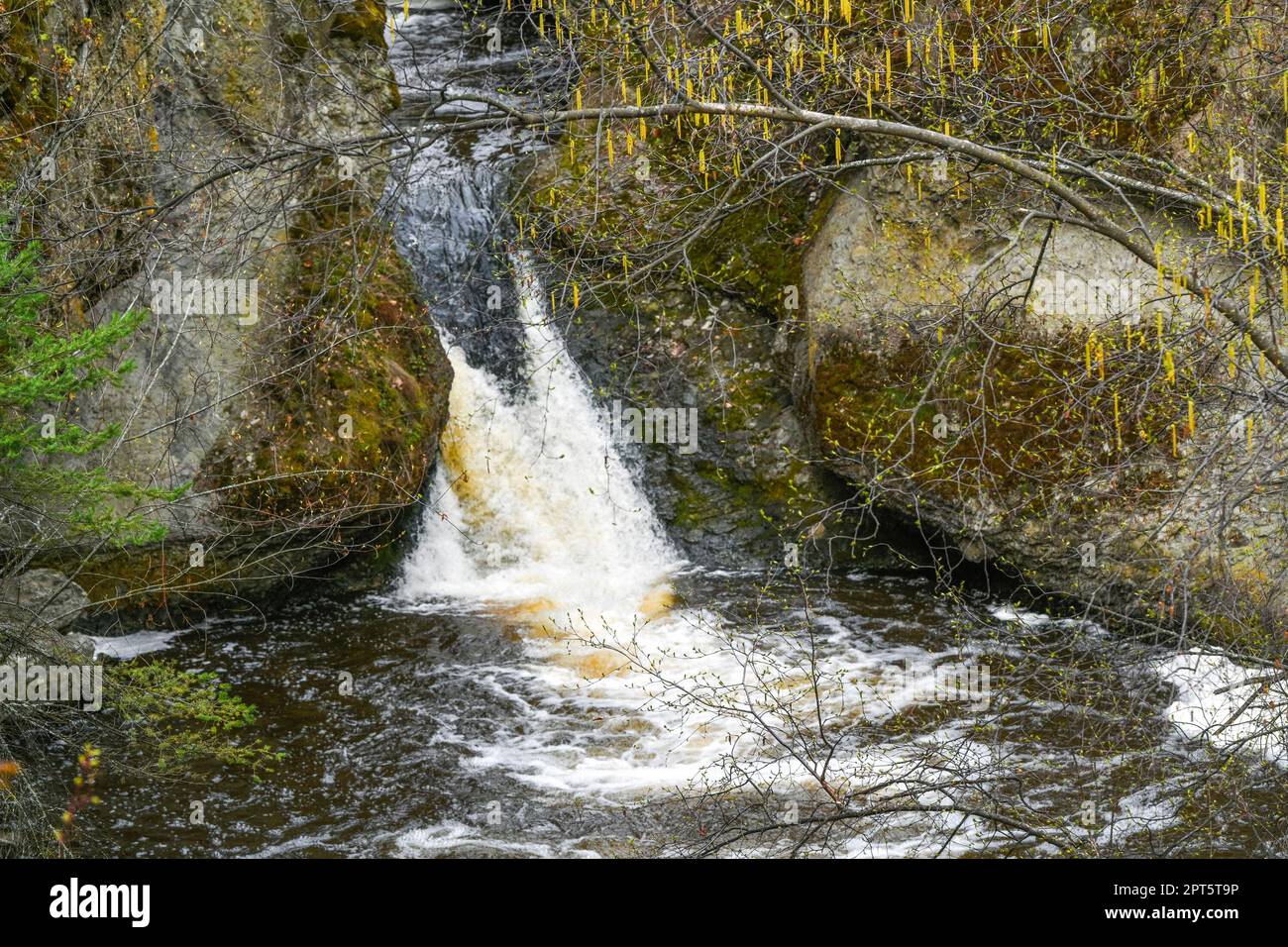 Glen canyon regional park hi-res stock photography and images - Alamy