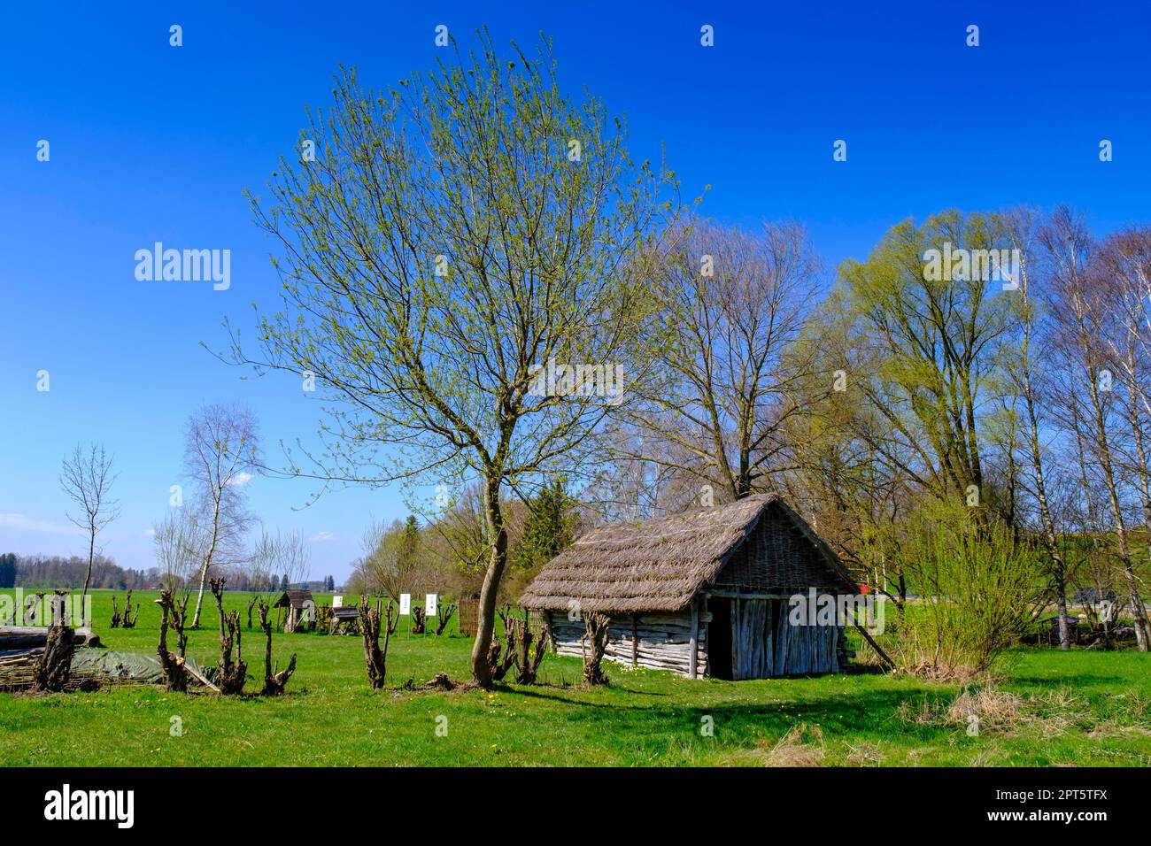 Stone Age Village Pestenacker, Prehistoric Settlement Pestenacker near ...