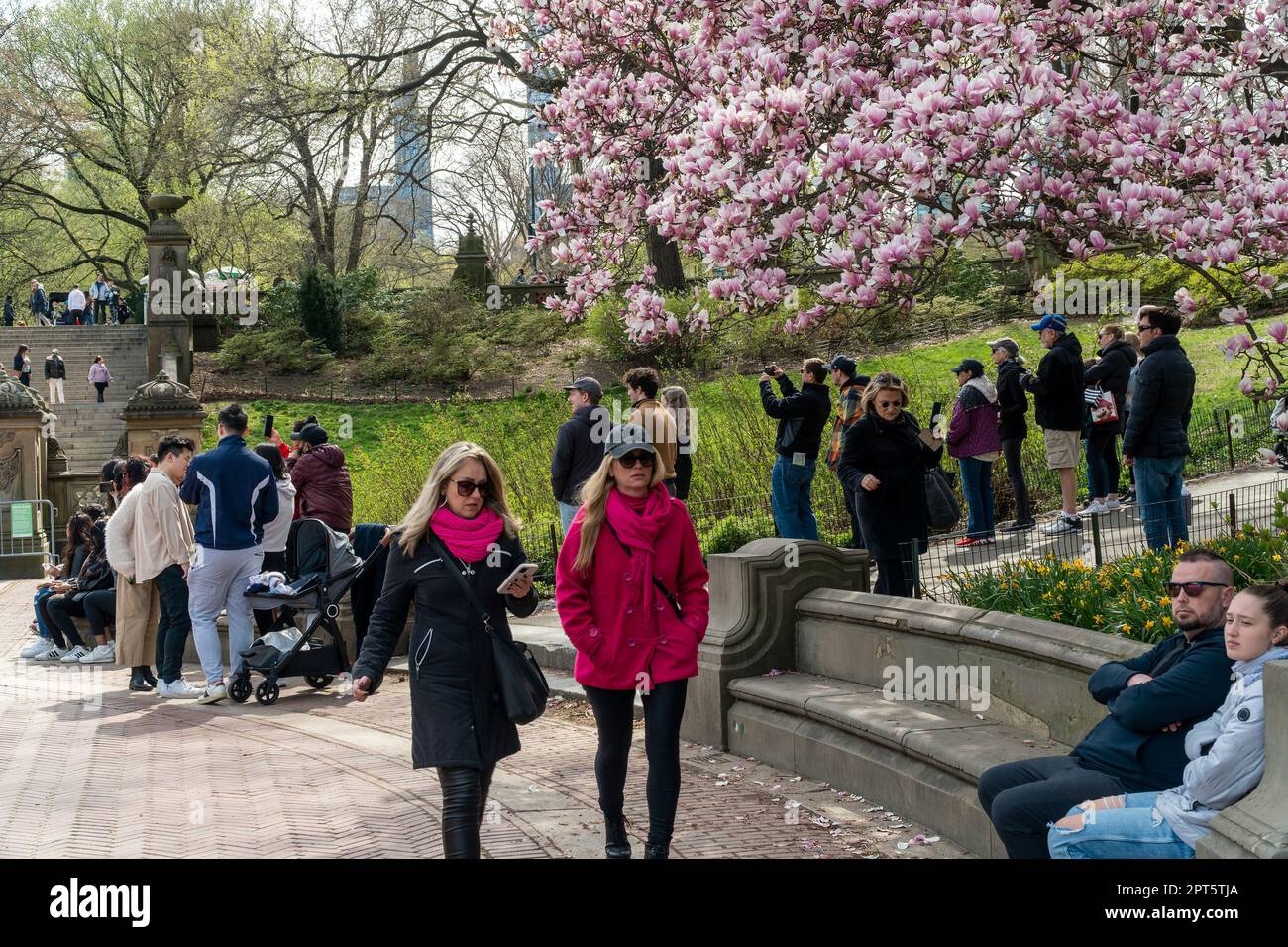 Hordes of visitors descend on Central Park in New York on a warm Spring ...