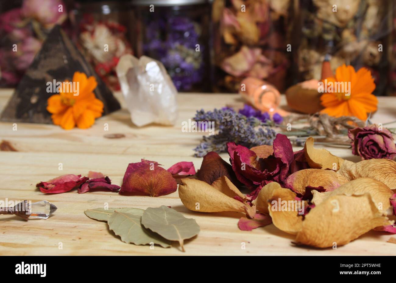 Dried Rose Petals and Dried Lavender With Crystals and Petrified Wood ...