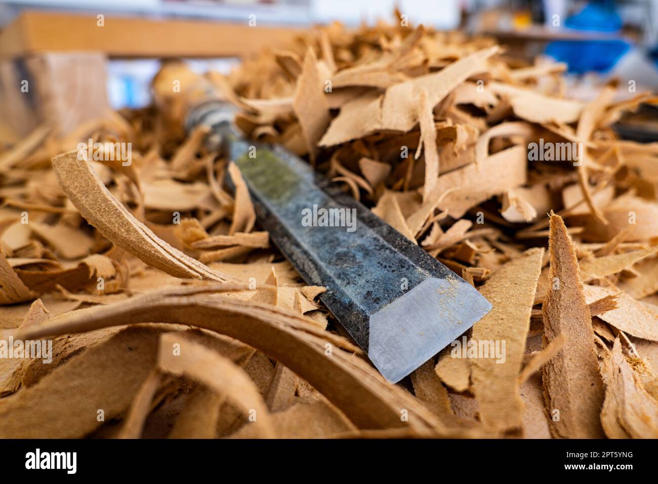 Close-up of a chisel in a craftsman carpentry Stock Photo - Alamy