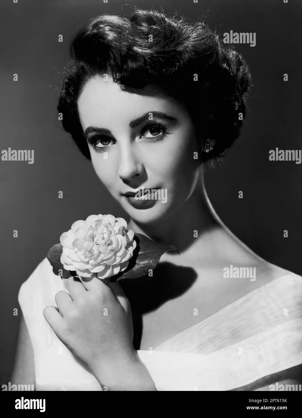Elizabeth Taylor portrait with a flower - publicity photo 1950s Stock ...