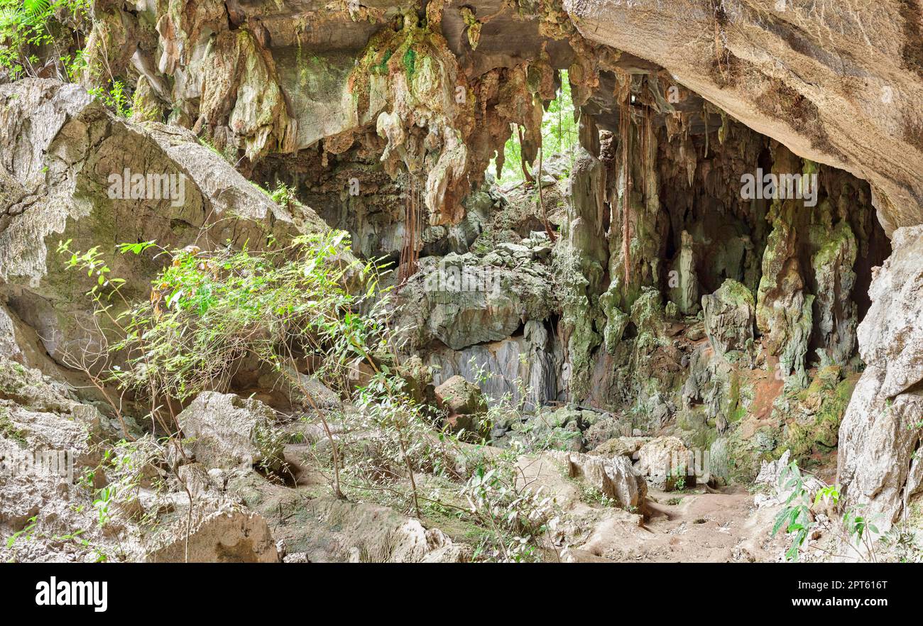 Caverna de Santo Tomas, Cave, El Moncada, Cuba Stock Photo - Alamy