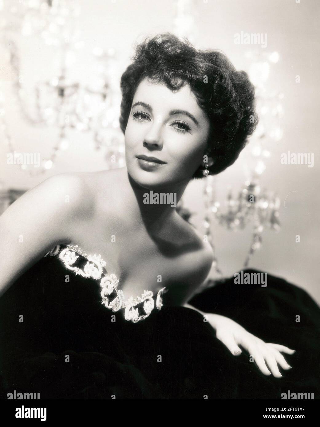 Elizabeth Taylor (Paramount, 1950). Keybook Photo Stock Photo - Alamy