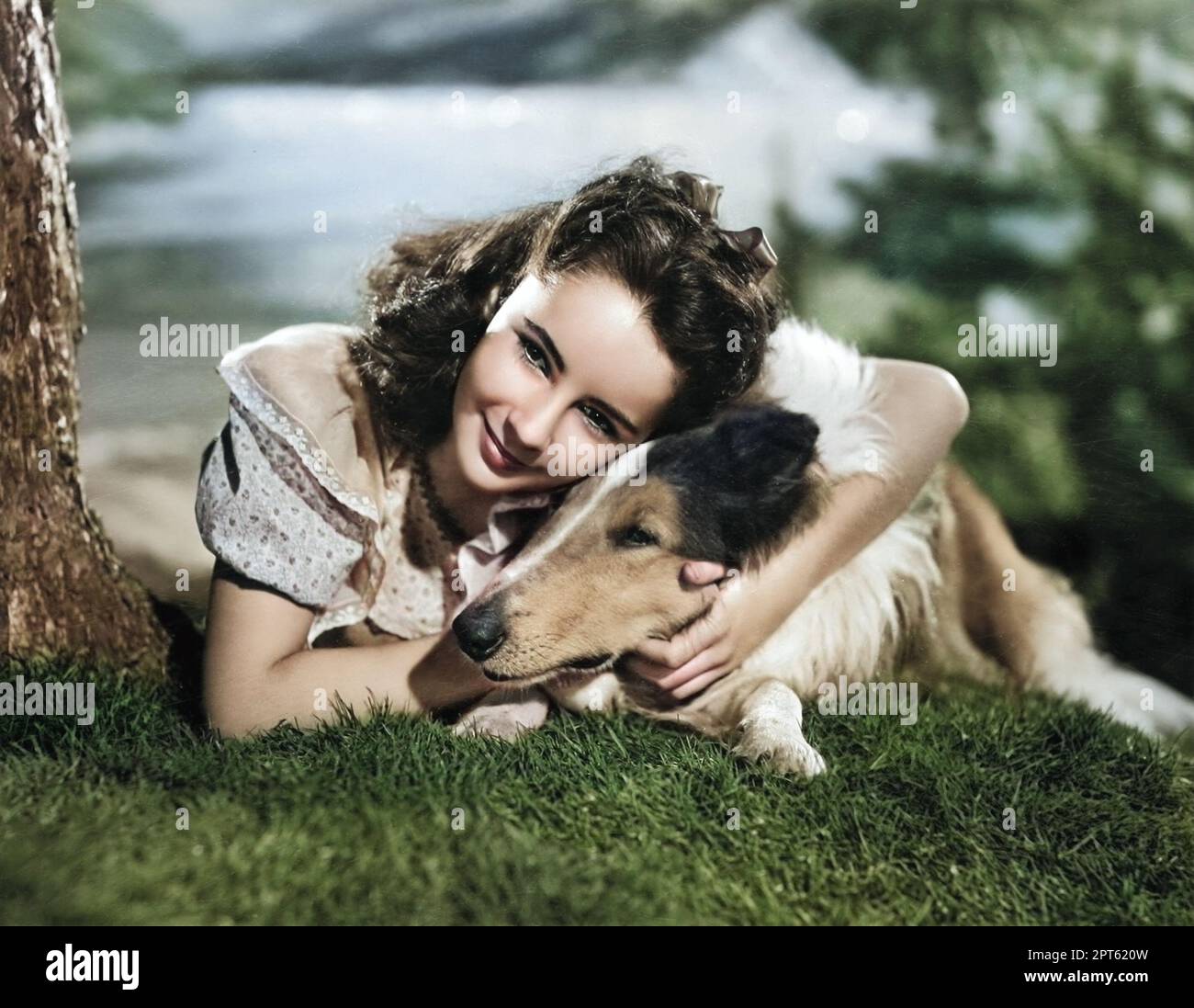 Courage Of Lassie Publicity Photo 1946 14 Year Old Elizabeth Taylor