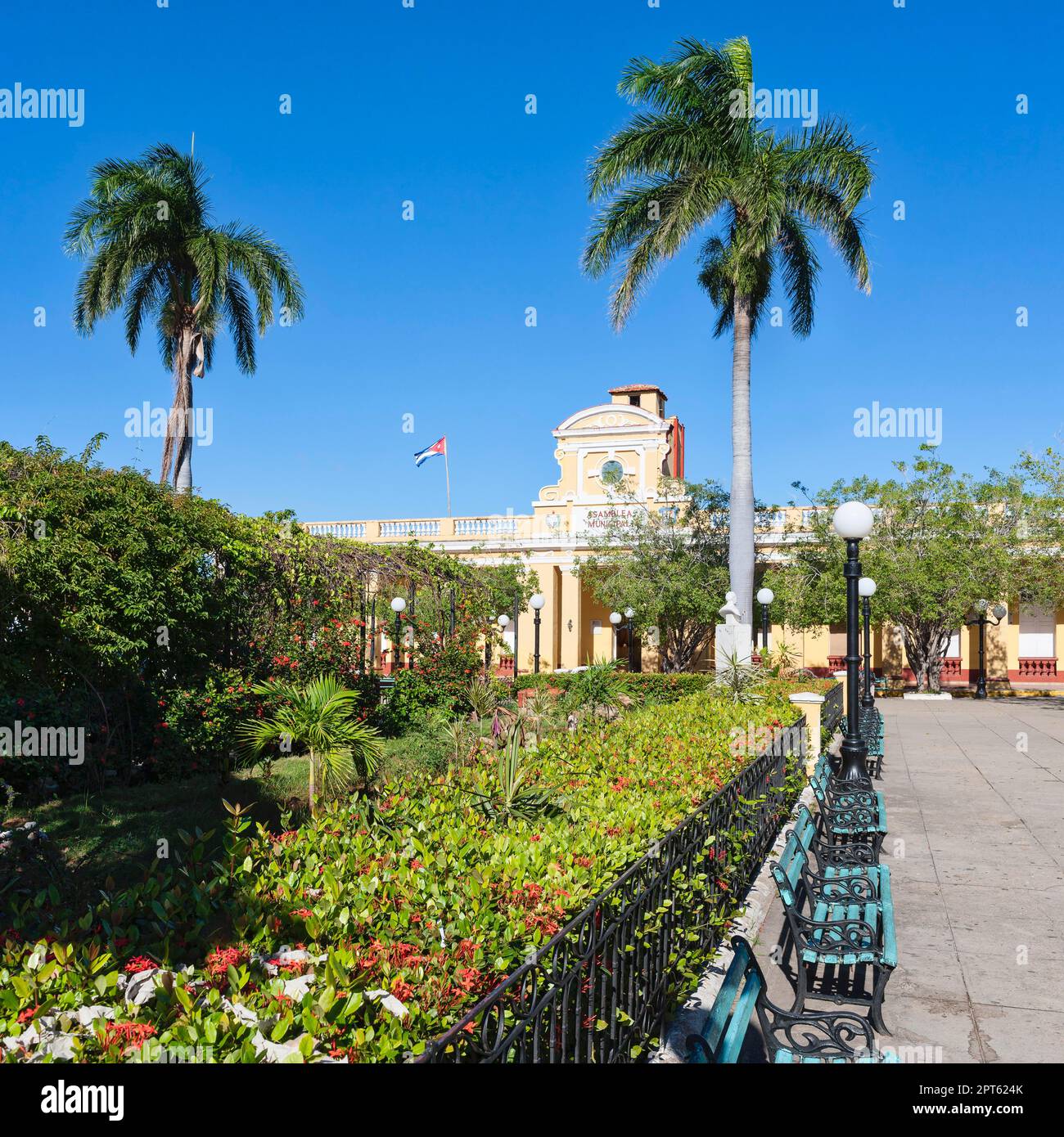 Palm trees (Arecaceae), Mayors Square, Trinidad, Cuba Stock Photo - Alamy
