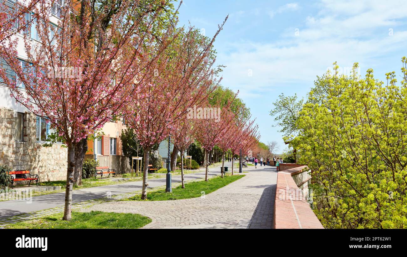 Hungarian spring hi-res stock photography and images - Alamy