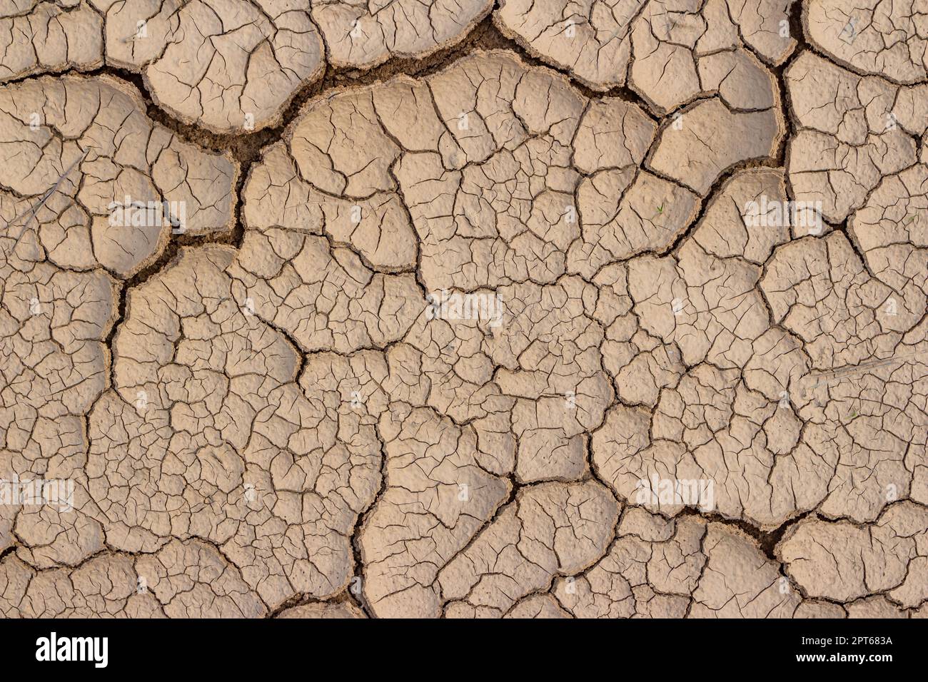 Abstract pattern formed by cracked dry clay Stock Photo - Alamy