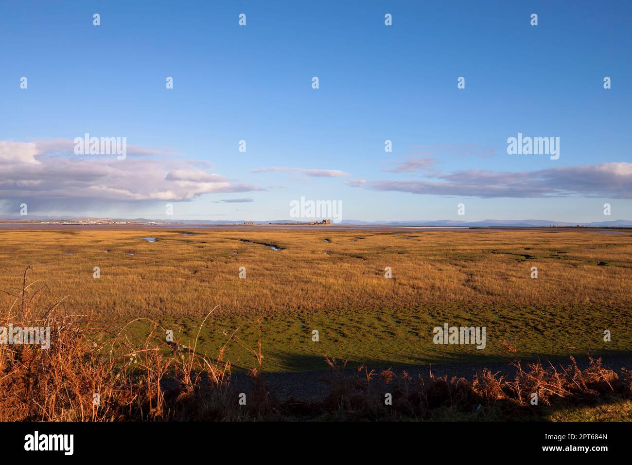 South Walney Nature Reserve, Cumbria. Piel Castle can be seen in the ...