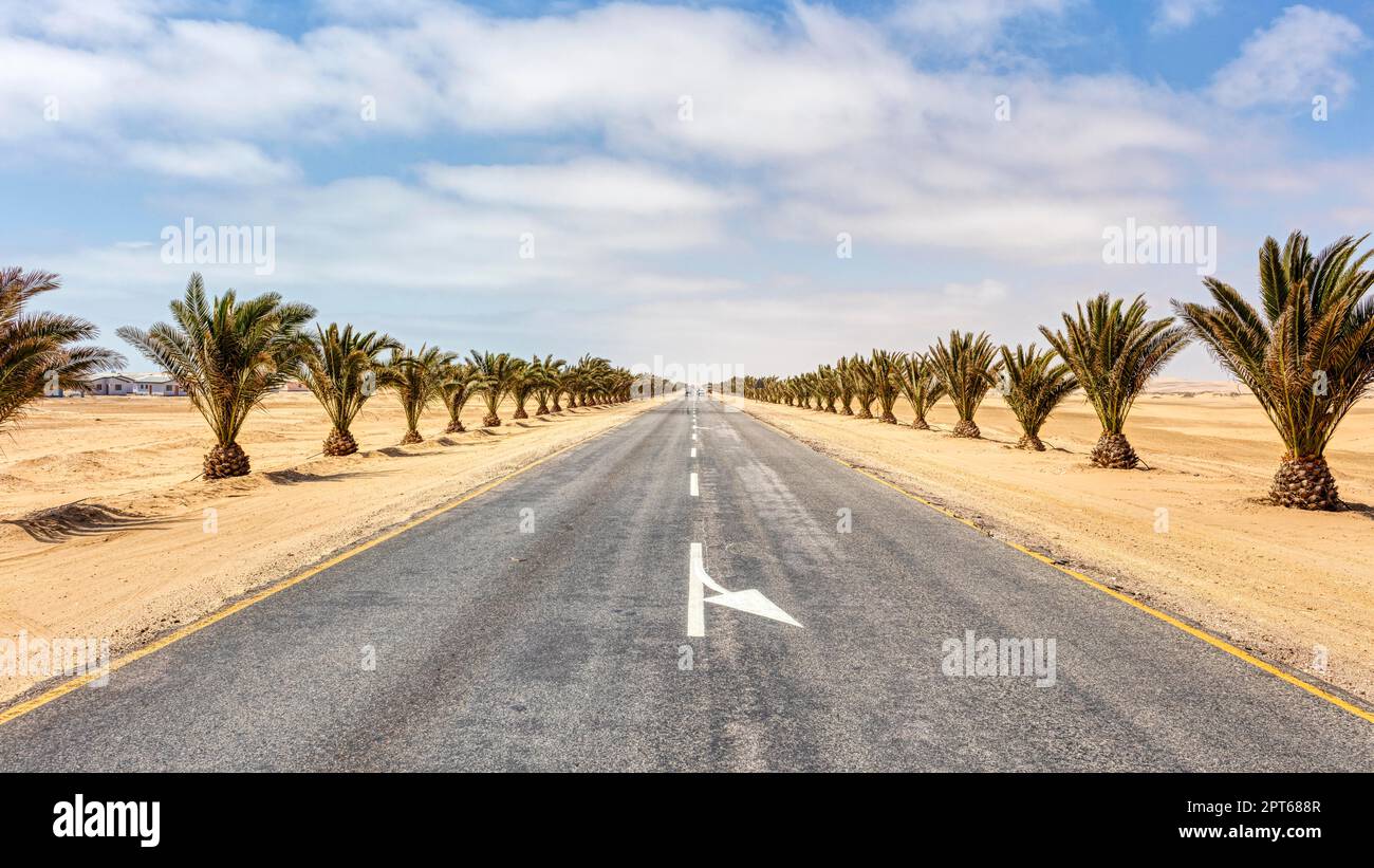 Country road, palm trees, Swakopmund, Namibia Stock Photo - Alamy